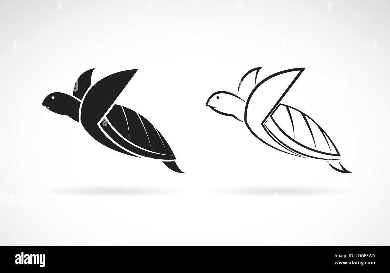 Vector of turtle design on a white background. Reptile. Animals. Easy ...