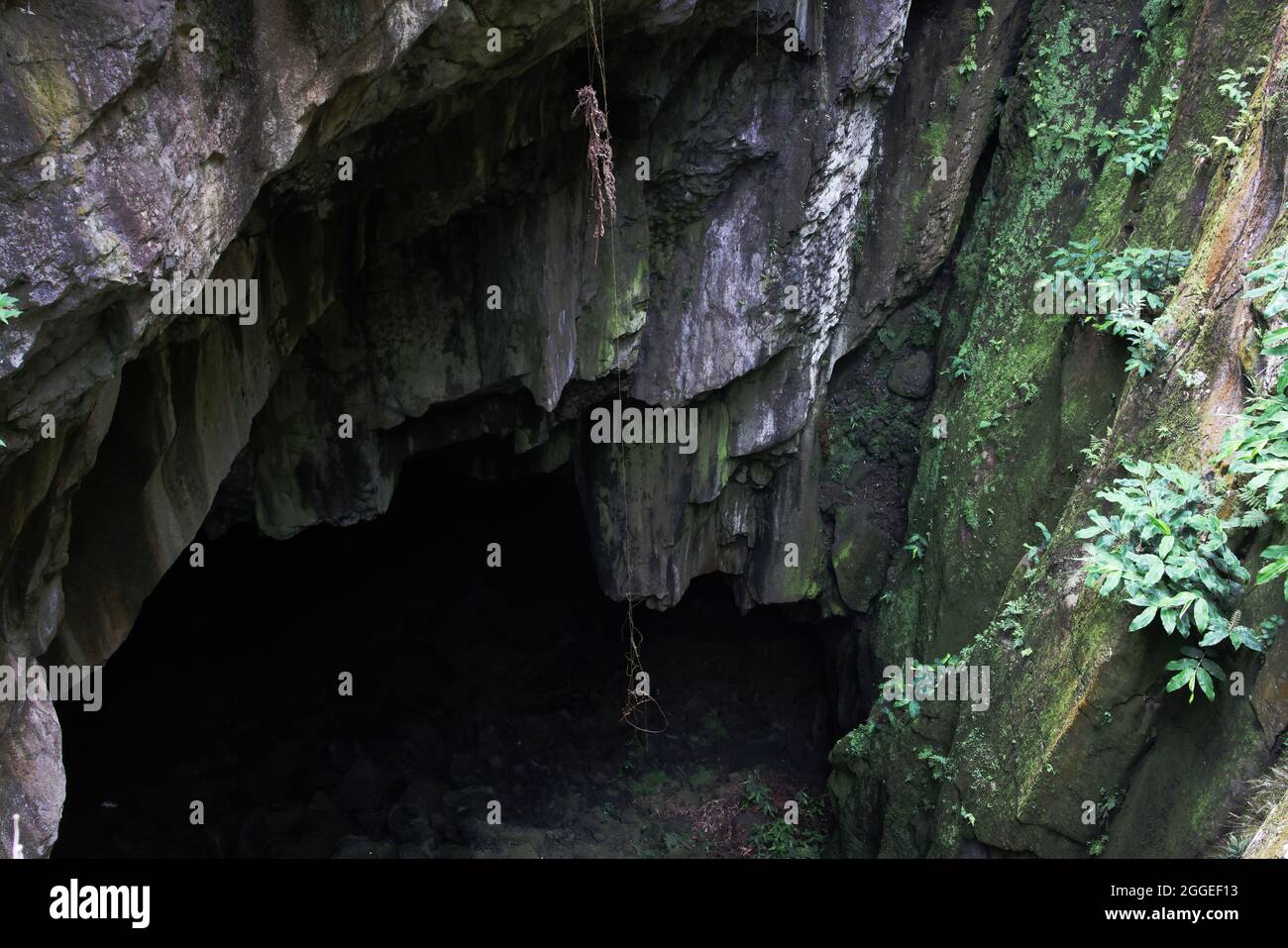 View from inside the volcano in Furna Do Enxofre, Graciosa island ...