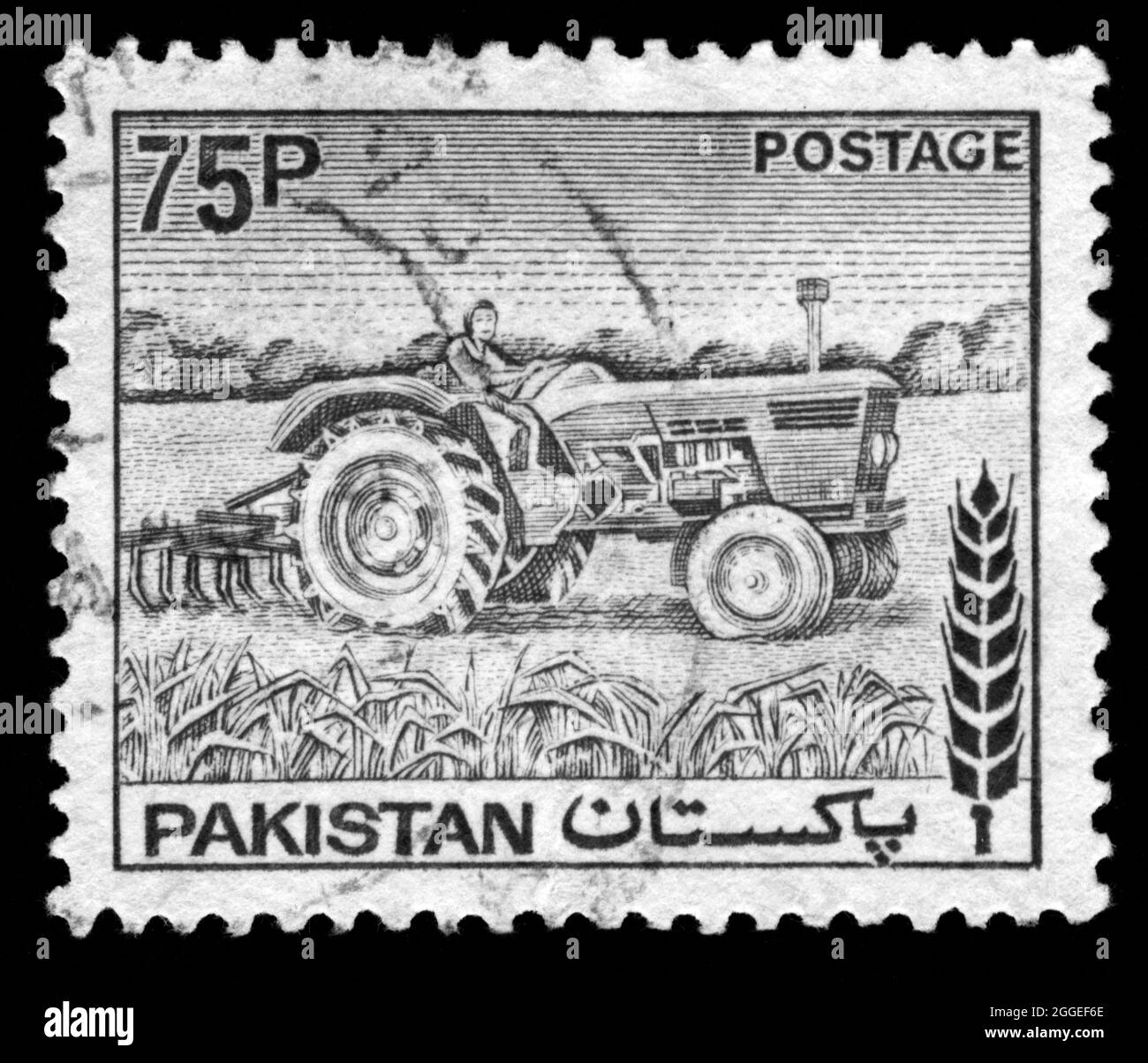 Pakistan agriculture hi-res stock photography and images - Alamy