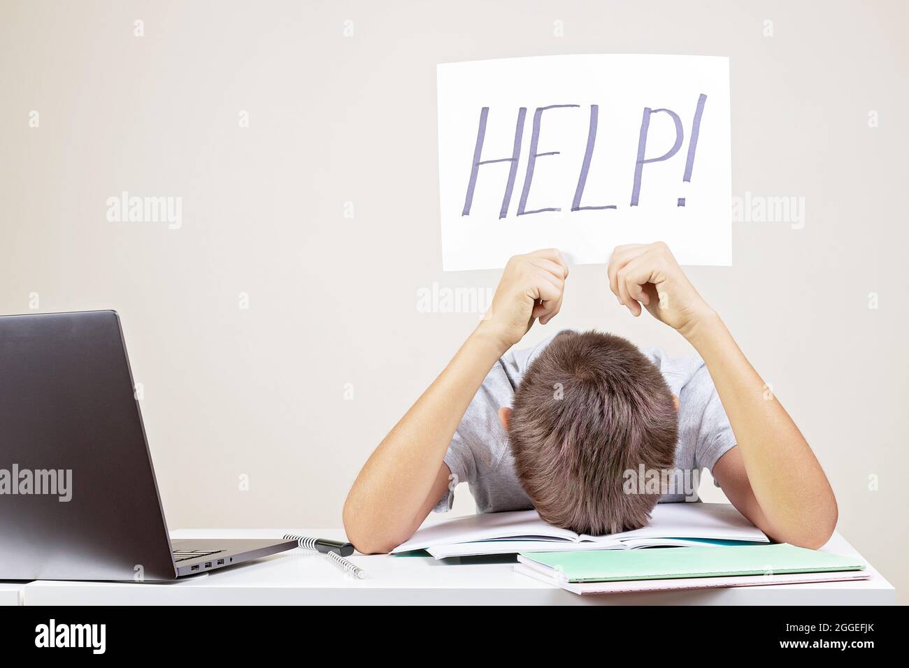 Learning difficulties, school, education, online remote learning ...