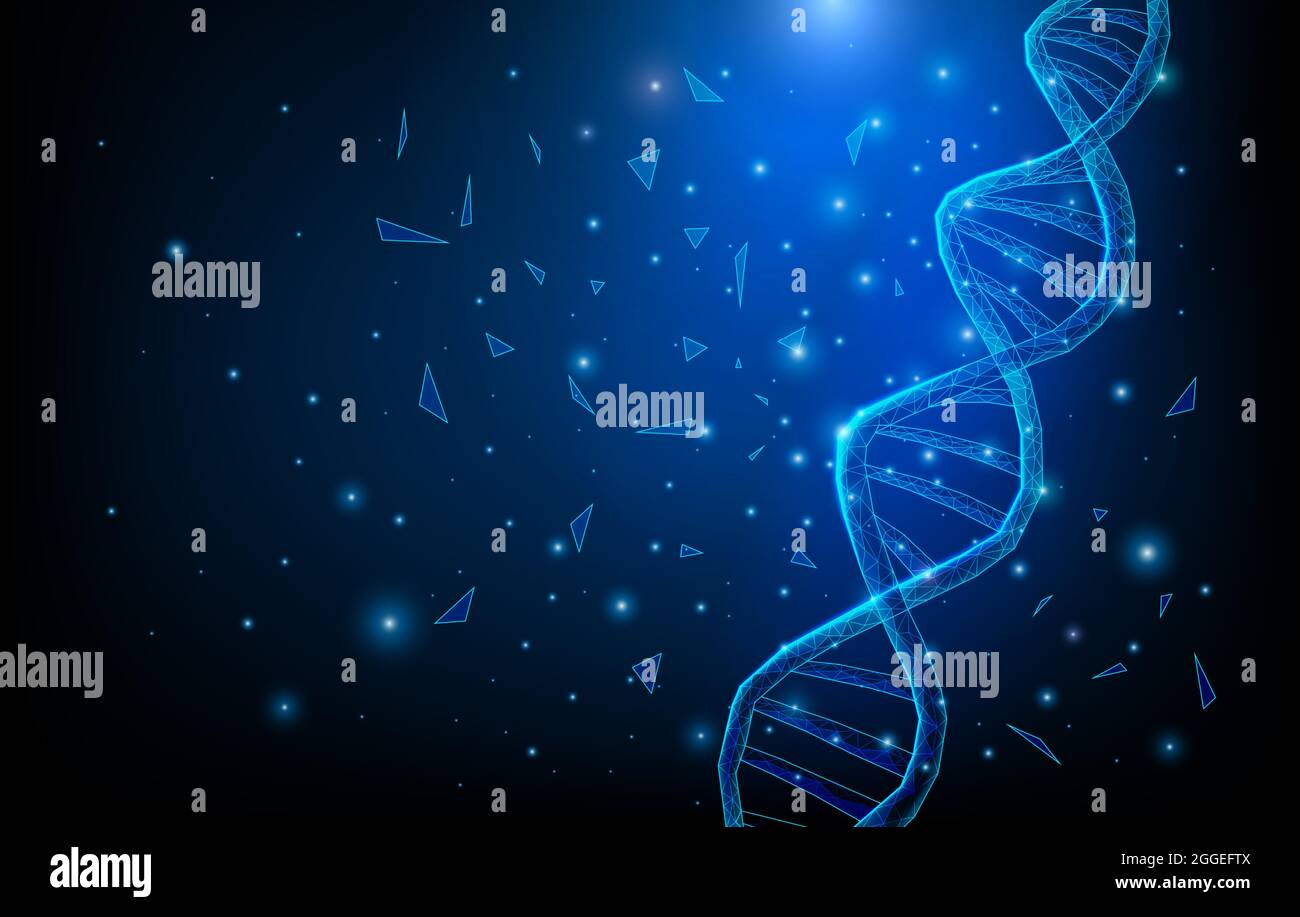 Wireframe DNA molecules structure mesh low poly consisting of points ...