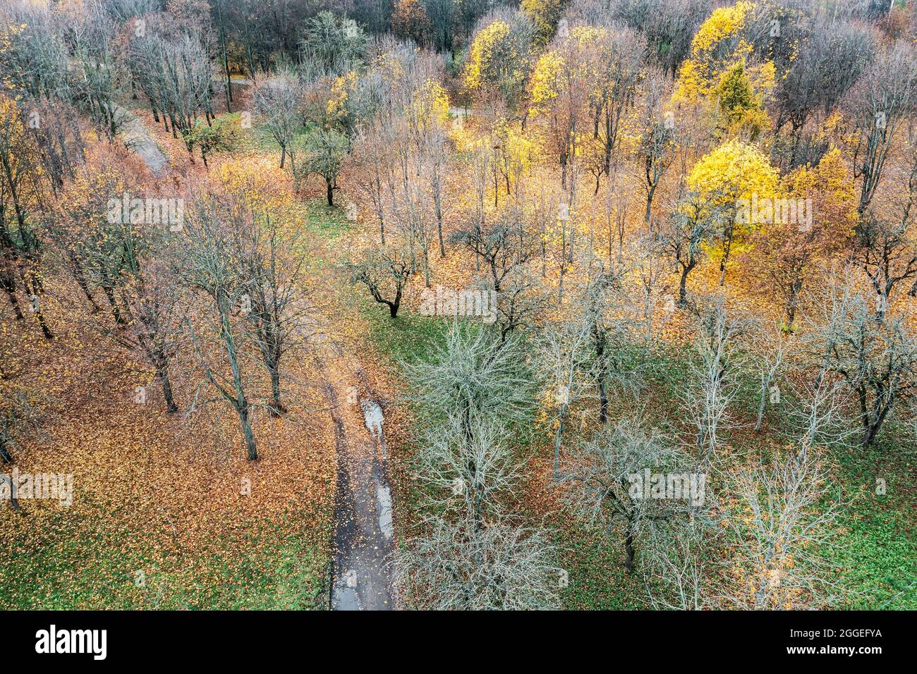 bright and colorful autumn trees. beautiful fall scenery. aerial view ...