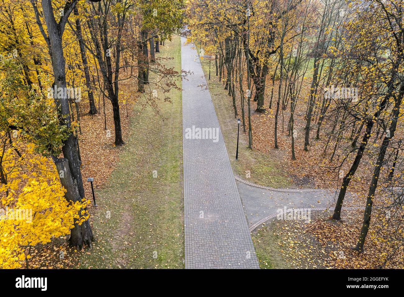 autumnal park landscape with straight stone walkway through fall trees ...
