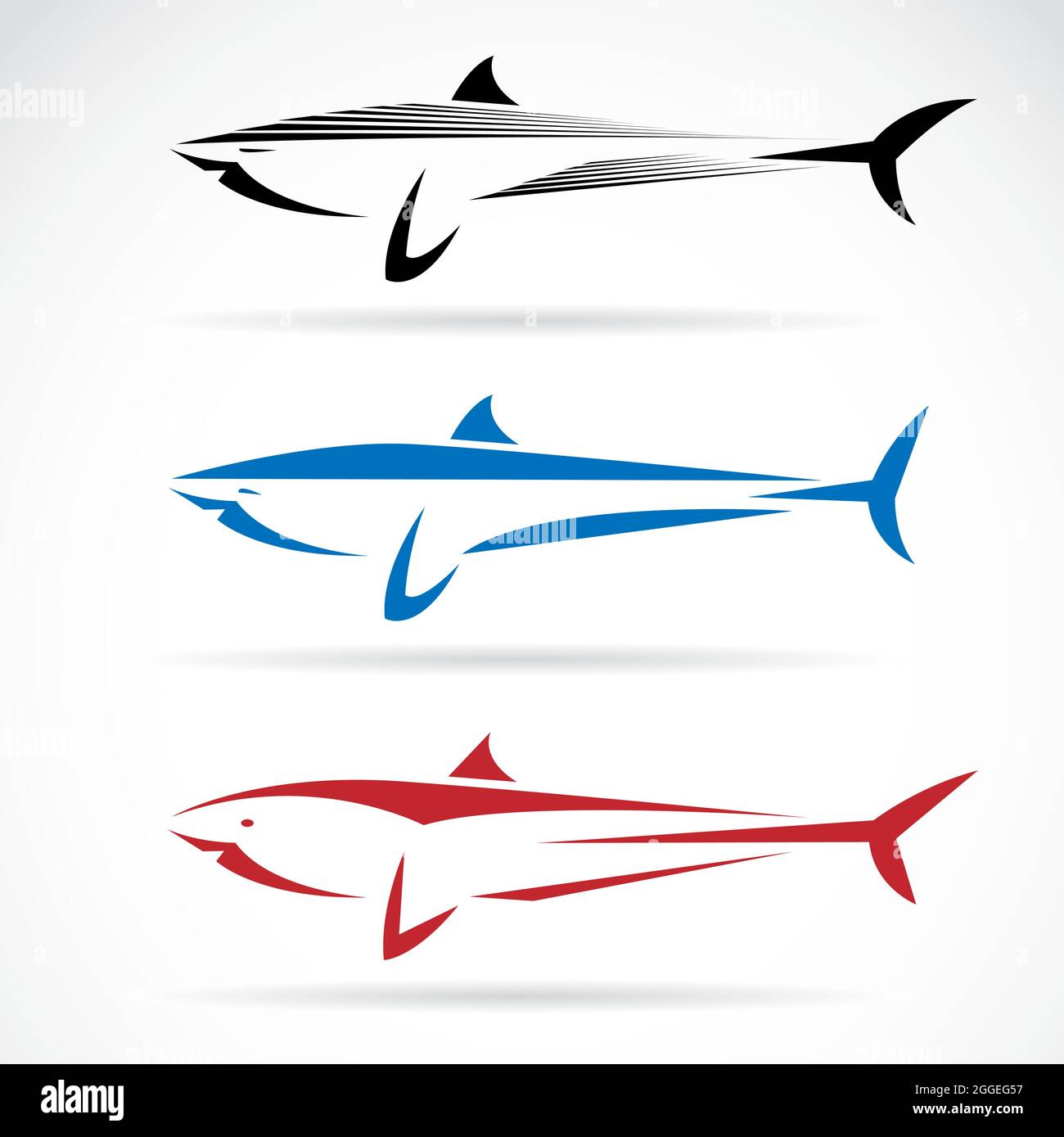 Vector illustration of shark banner on white background. Easy editable ...