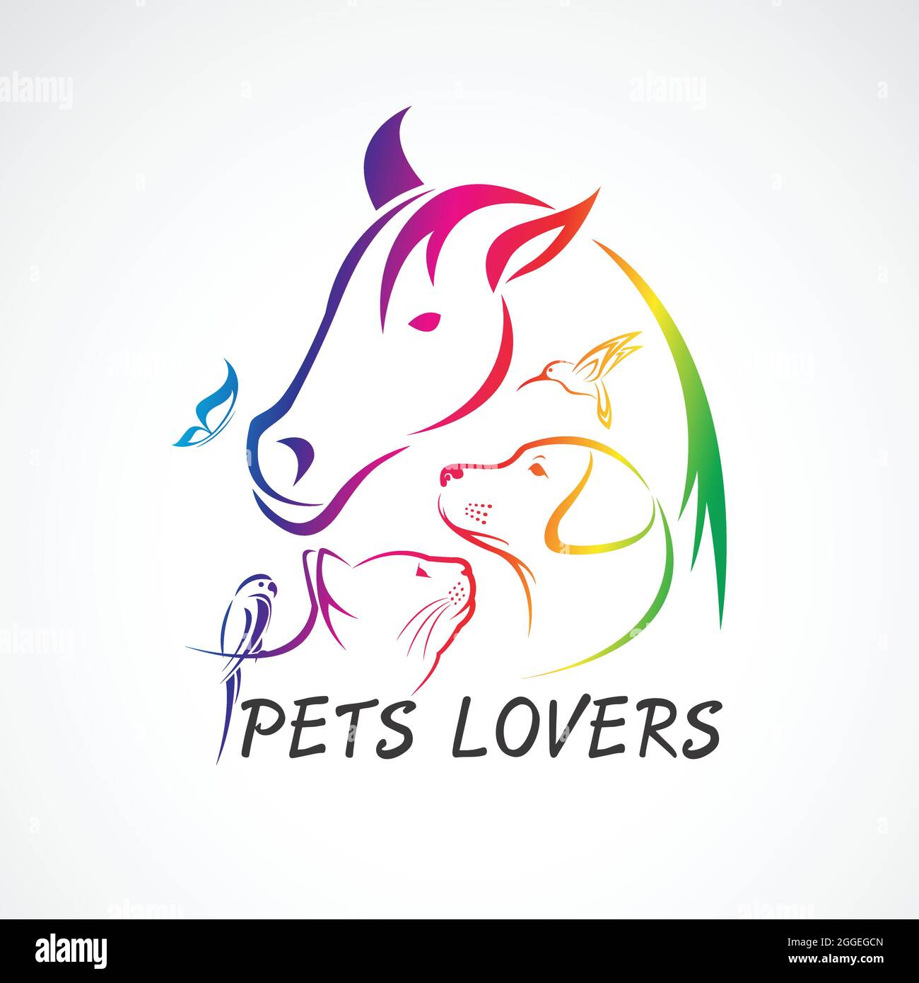 Hummingbird with butterfly not moth Stock Vector Images - Alamy