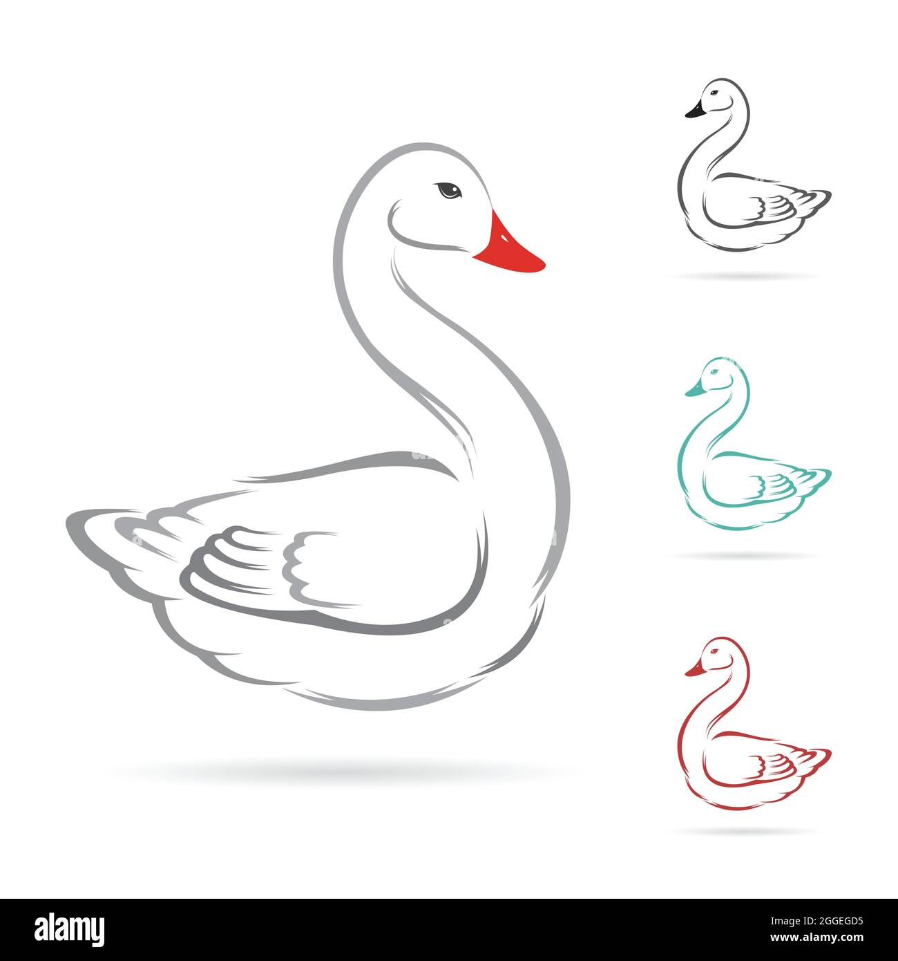 Vector image of swan on a white background. Easy editable layered ...