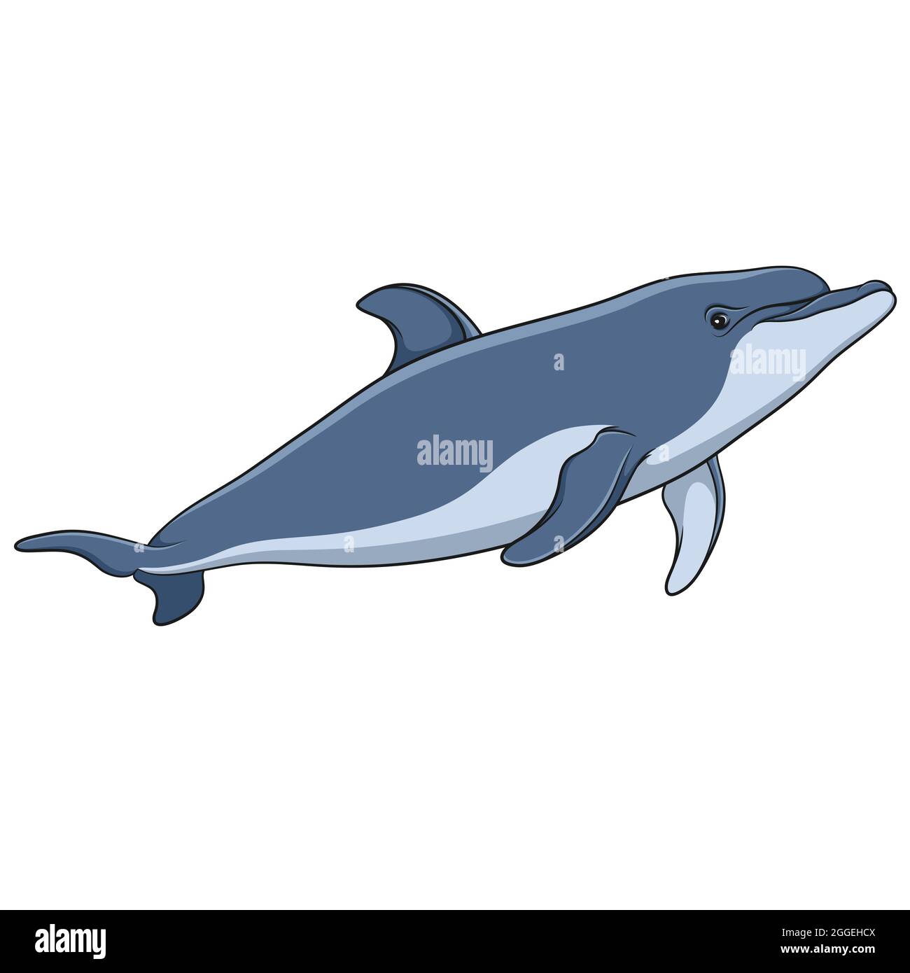 Color vector image of a dolphin. Isolated object on white background ...