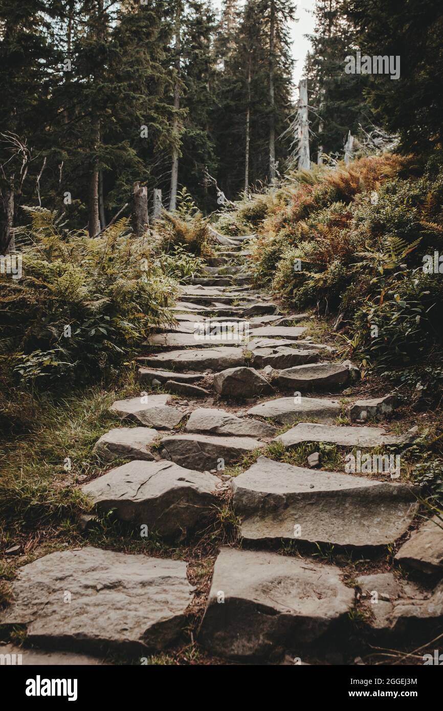 Rocky mountain path. Trekking trail Stock Photo - Alamy