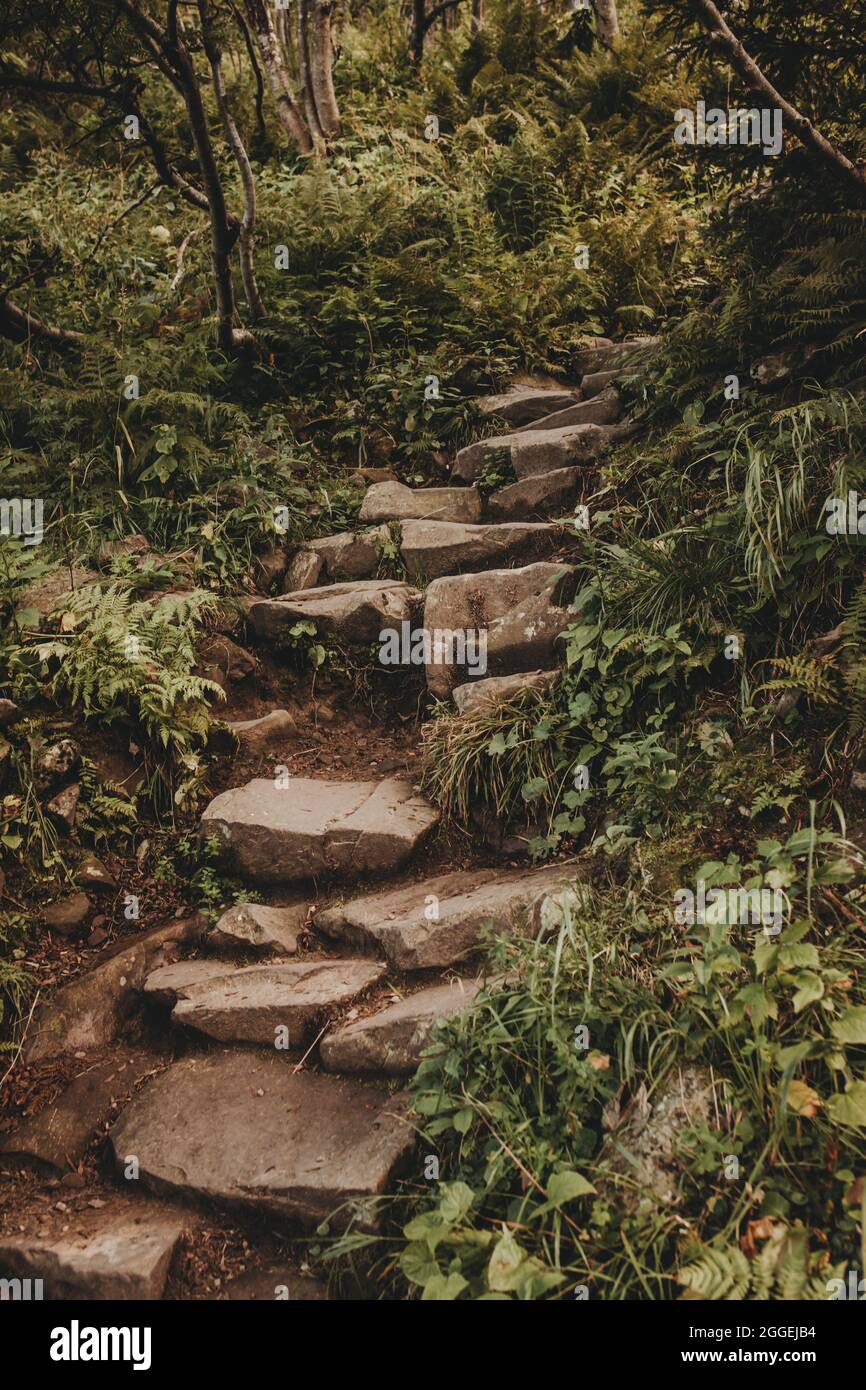 Rocky mountain path. Trekking trail Stock Photo - Alamy