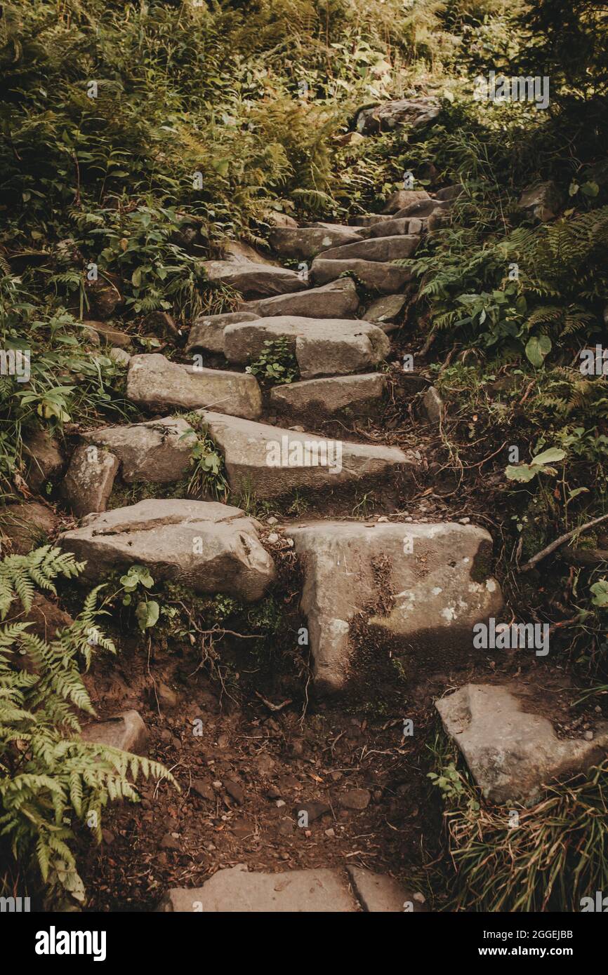 Rocky mountain path. Trekking trail Stock Photo - Alamy