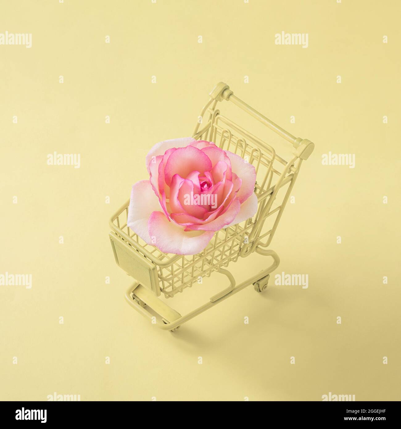A rose in a store cart on a pastel yellow background. Minimal creative ...