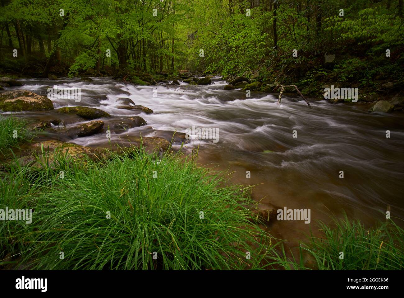 Spring view of the West Side Little River in Great Smoky Mountains ...
