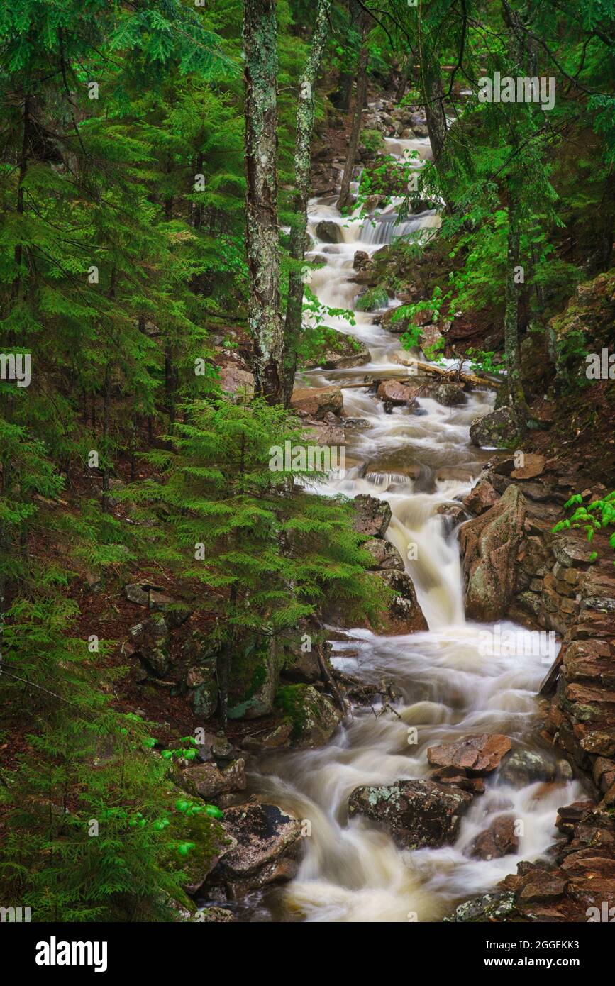 Hadlock Falls in Acadia National Park in Maine Stock Photo - Alamy