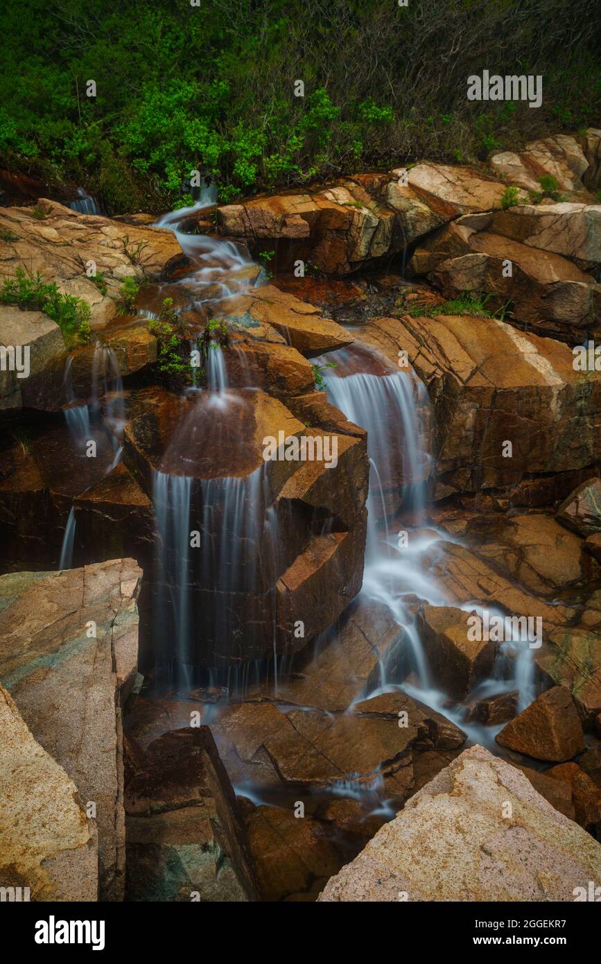 Acadia national park coast fall hi-res stock photography and images - Alamy