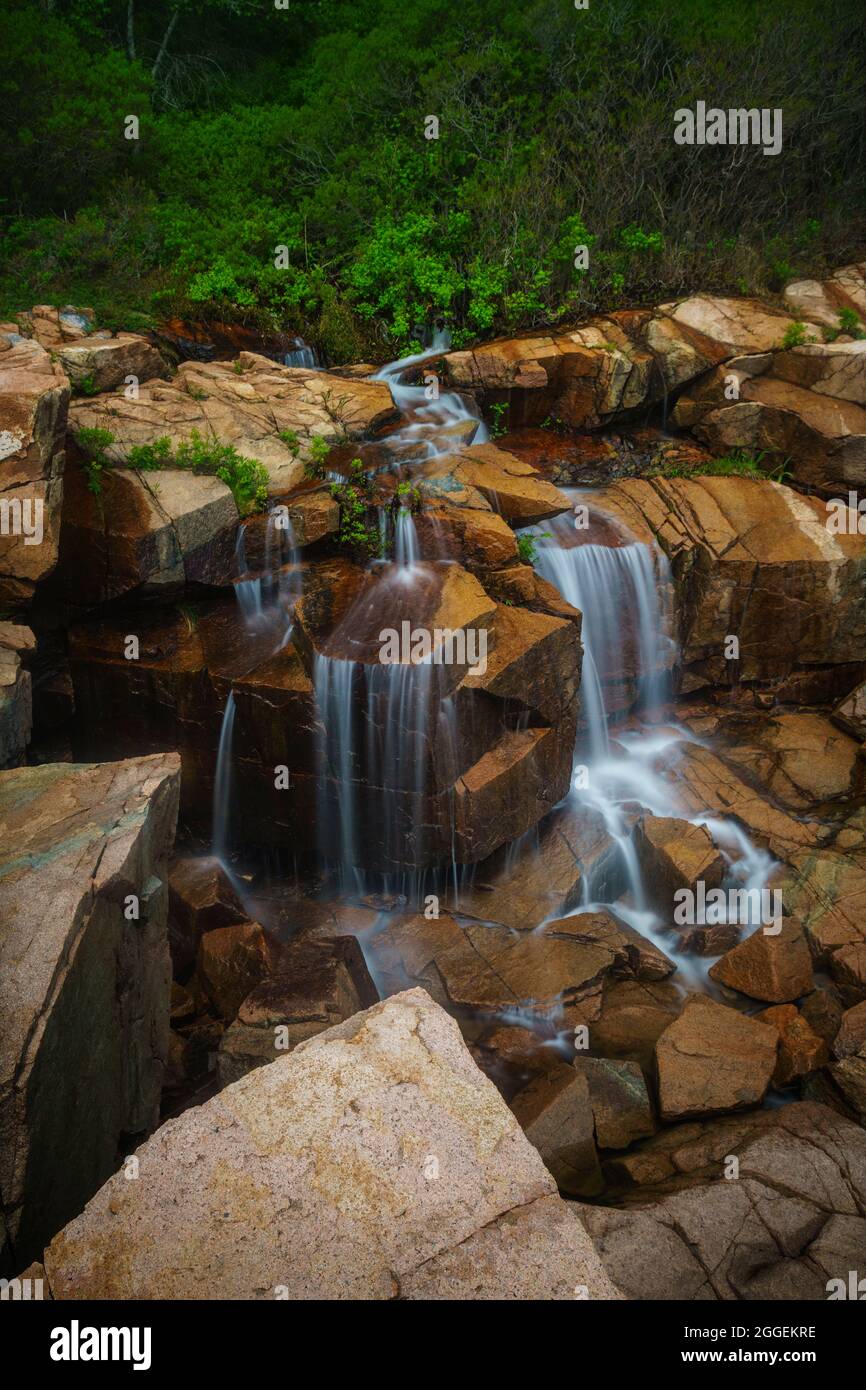 Coastal waterfall in Acadia National Park Stock Photo - Alamy