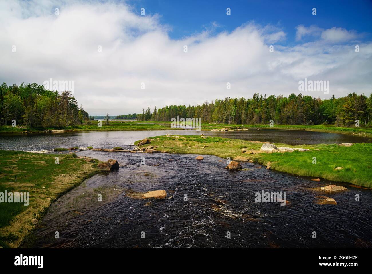 Summer in desert hi-res stock photography and images - Alamy