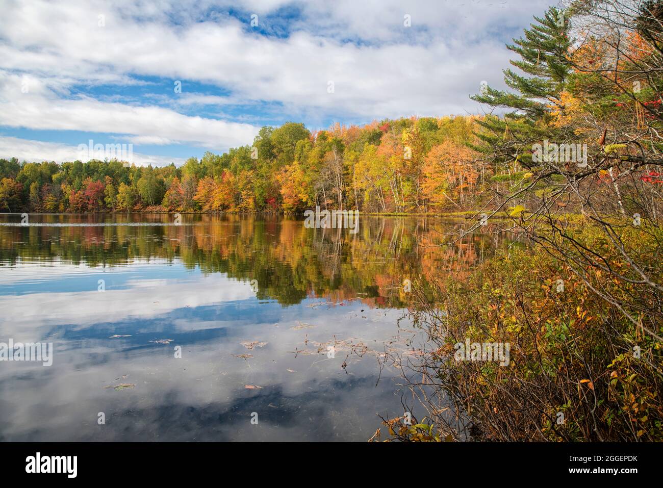 Moccasin lake hi-res stock photography and images - Alamy