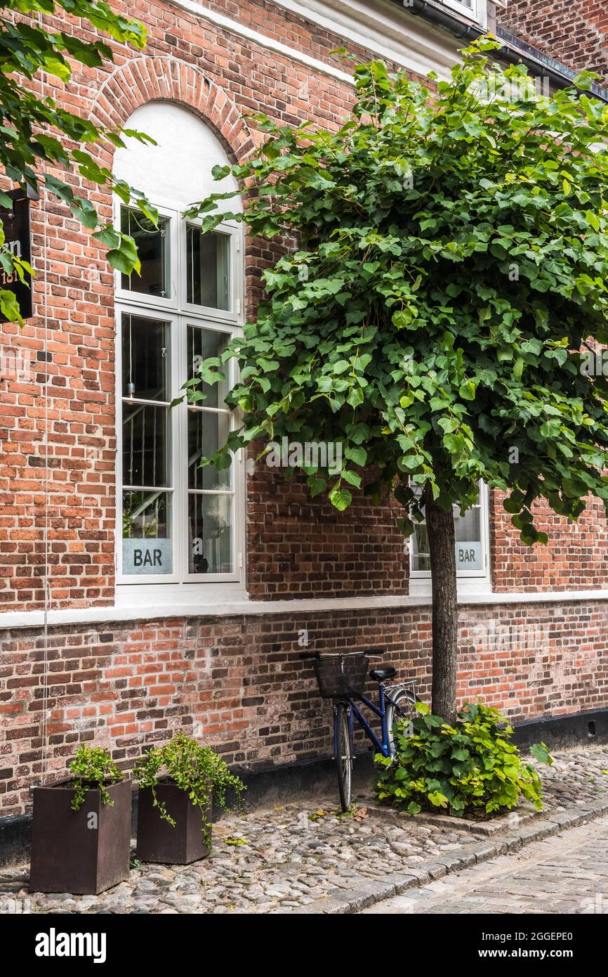 Tree with a spherical crown in front of an old brick building Stock ...