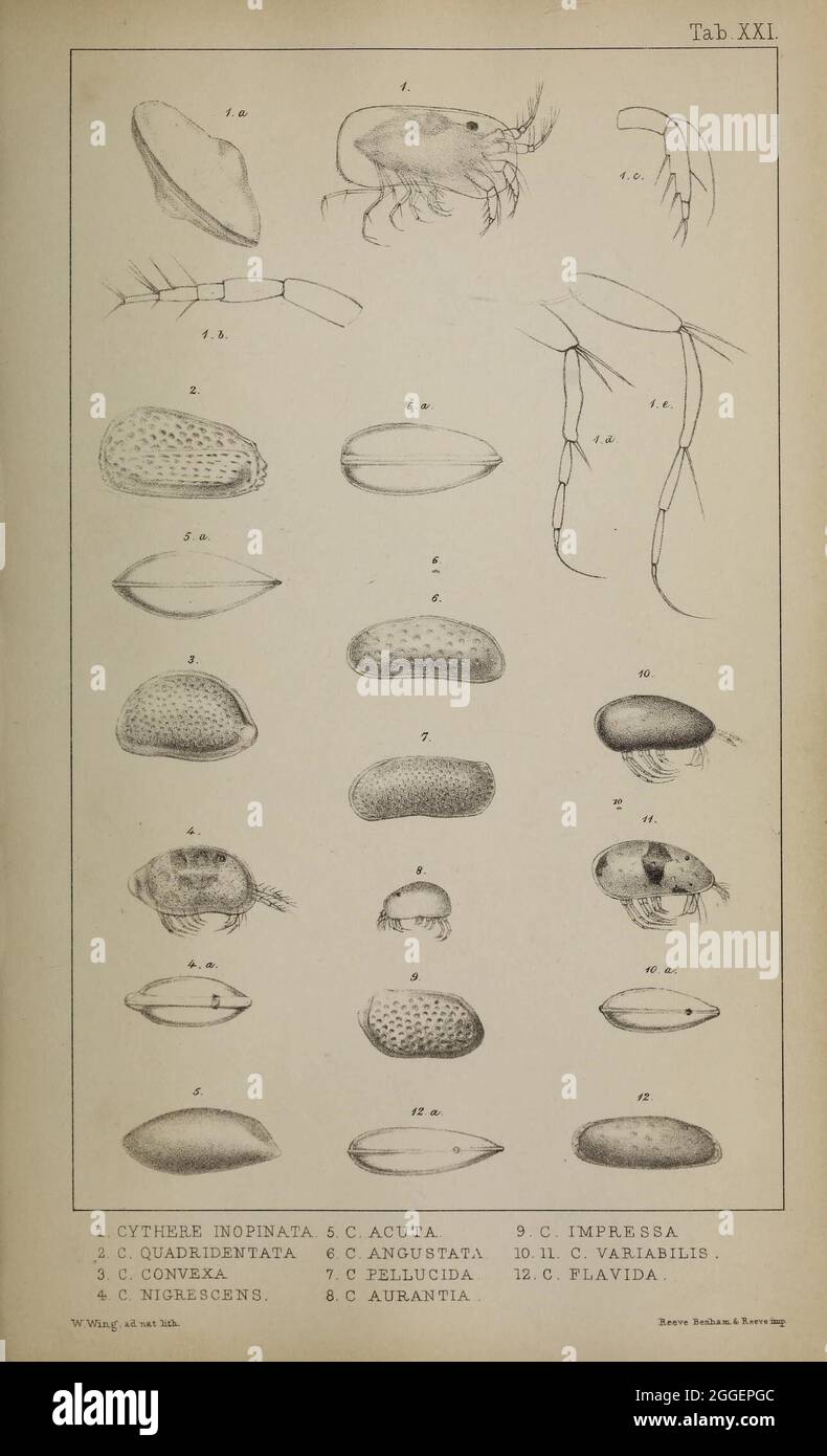 1850 laboratory hi-res stock photography and images - Alamy
