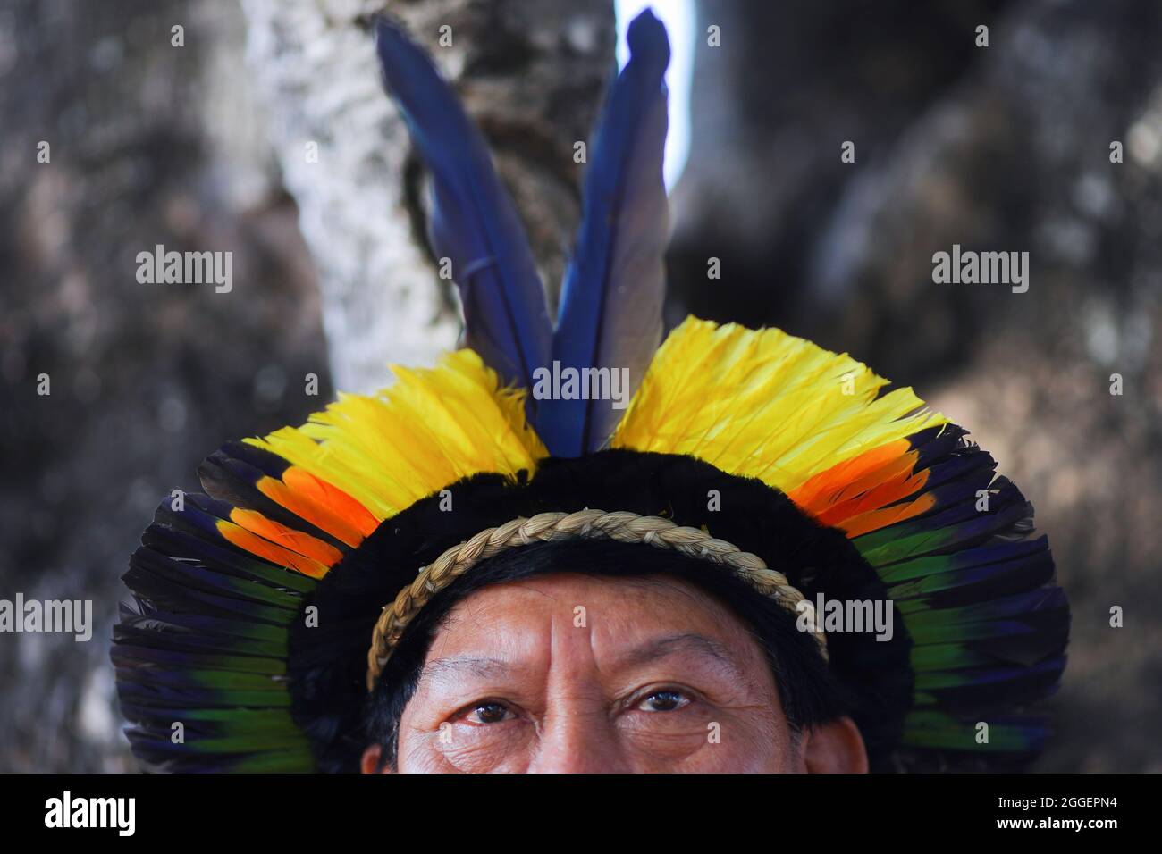 Yanomami hi-res stock photography and images - Alamy
