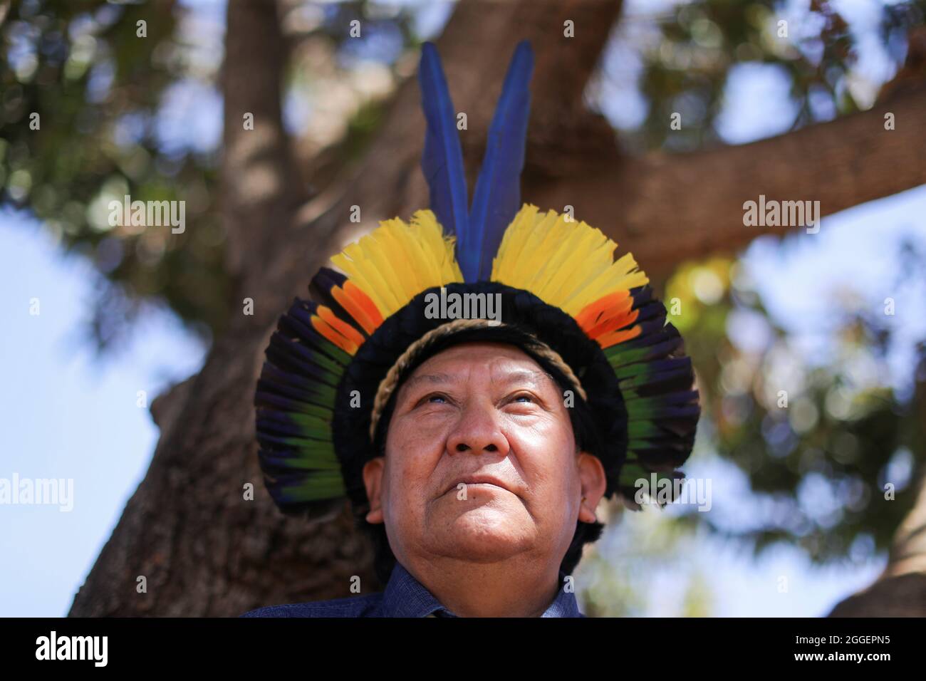 Yanomami hi-res stock photography and images - Alamy