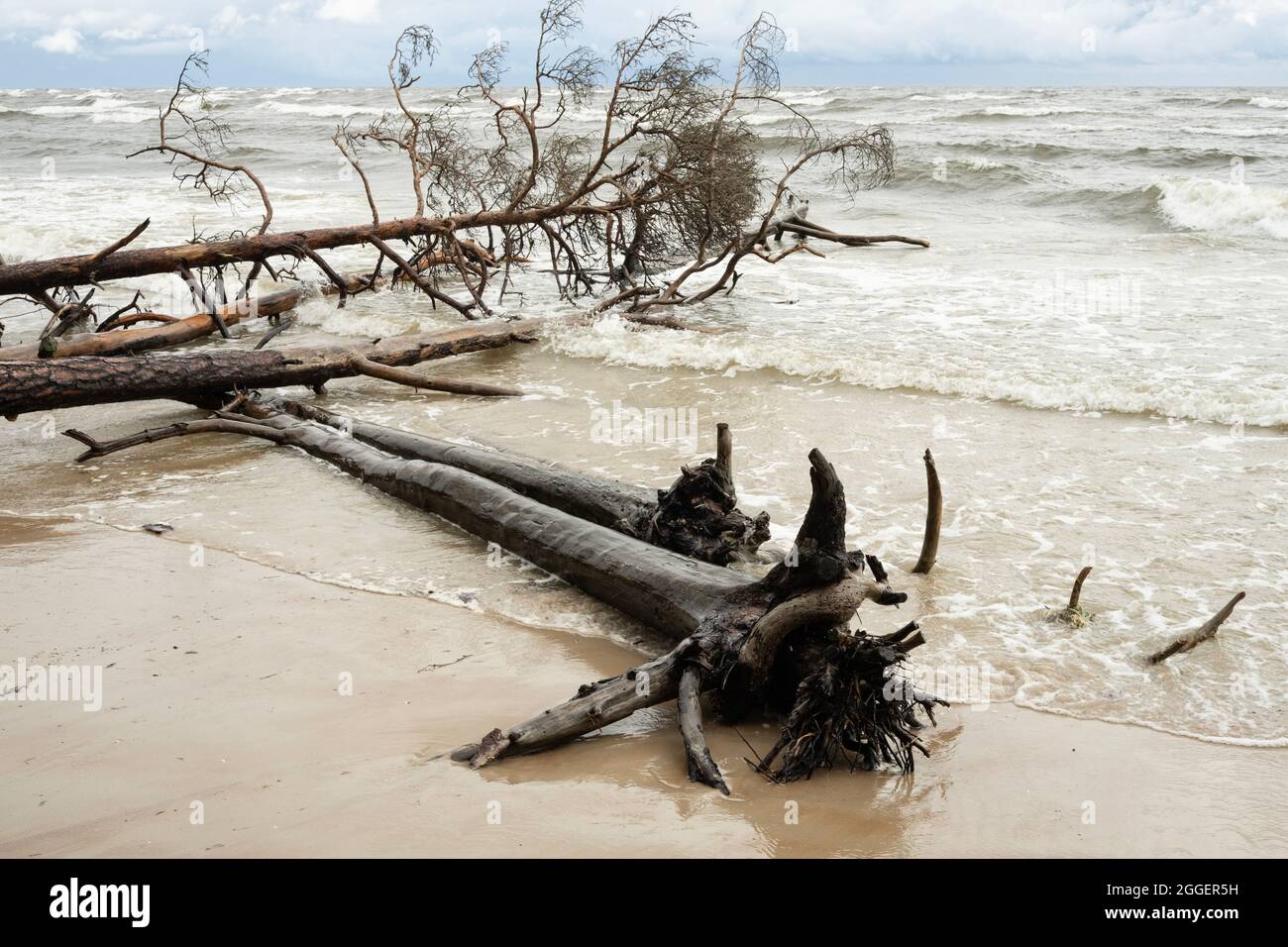 Windy morning hi-res stock photography and images - Alamy