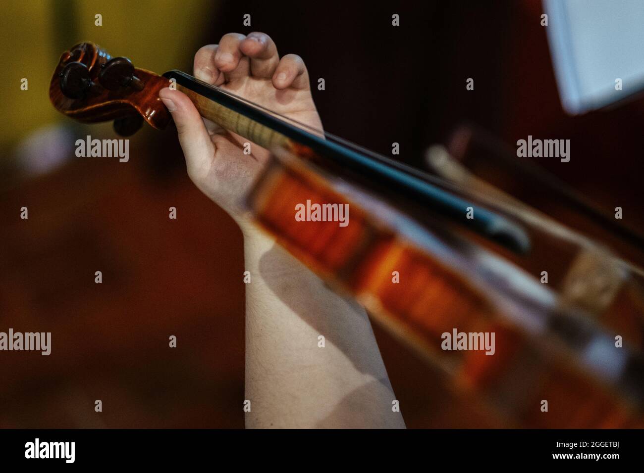 Closeup of a violinist playing violin, focus on the hand Stock Photo ...
