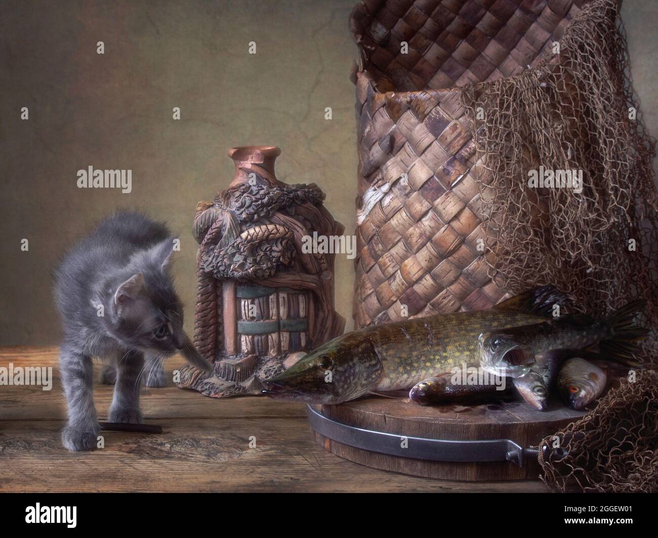 Still life with pike fish and little kitten Stock Photo - Alamy