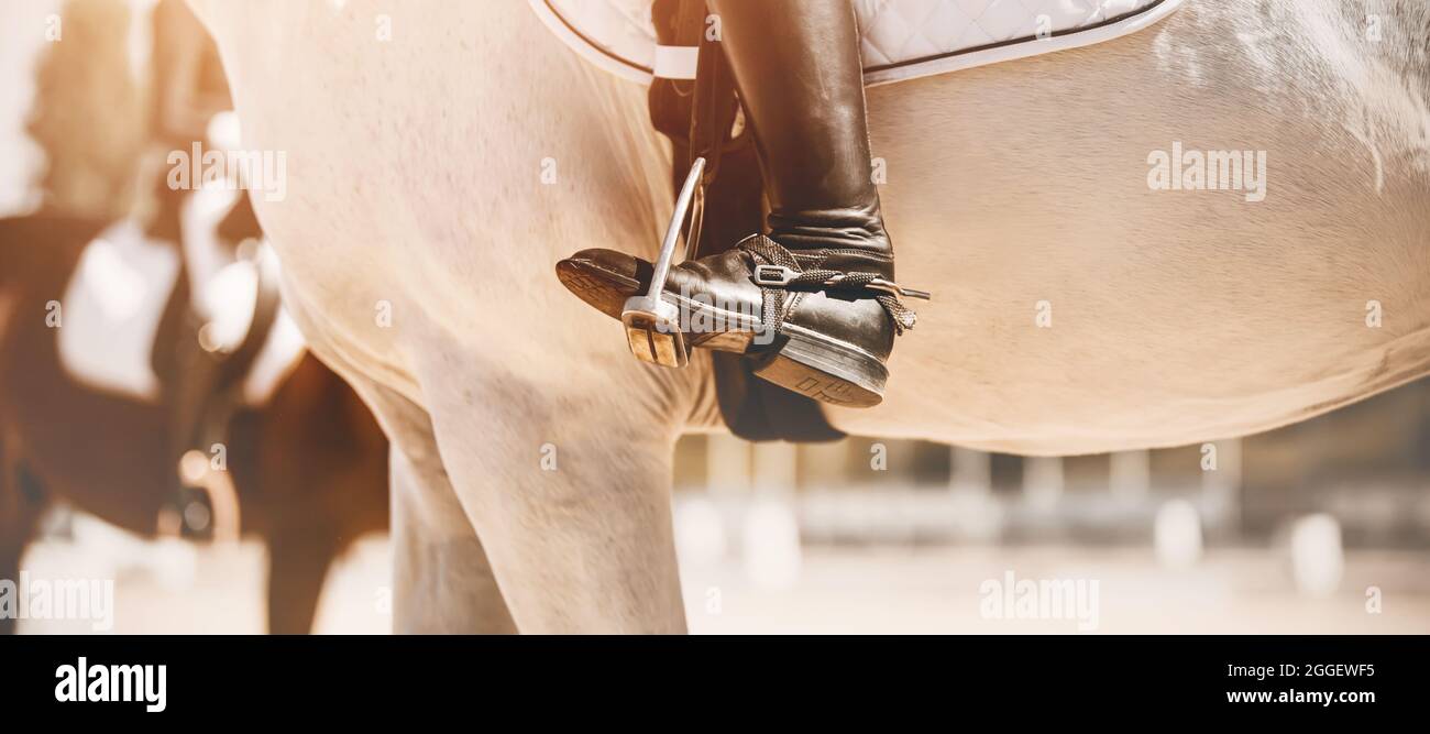 Riding boot stirrup spur hi-res stock photography and images - Alamy