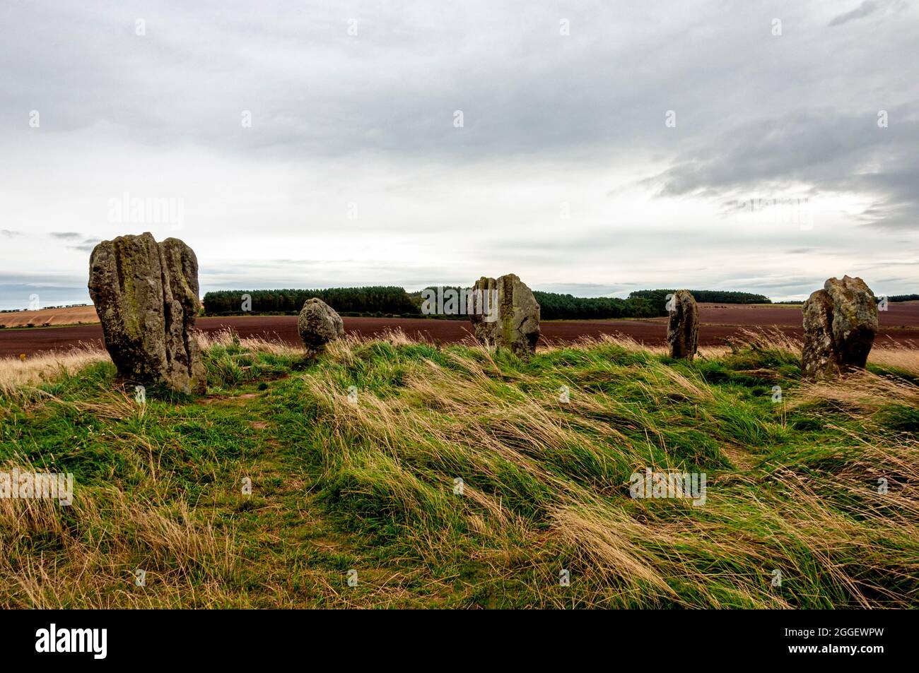 The standing stones of the Neolithic/Bronze Age scheduled monument of ...