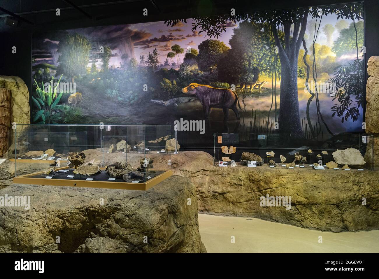 Exhibit at the John Day Fossil Beds National Monument. Kimberly, Oregon ...