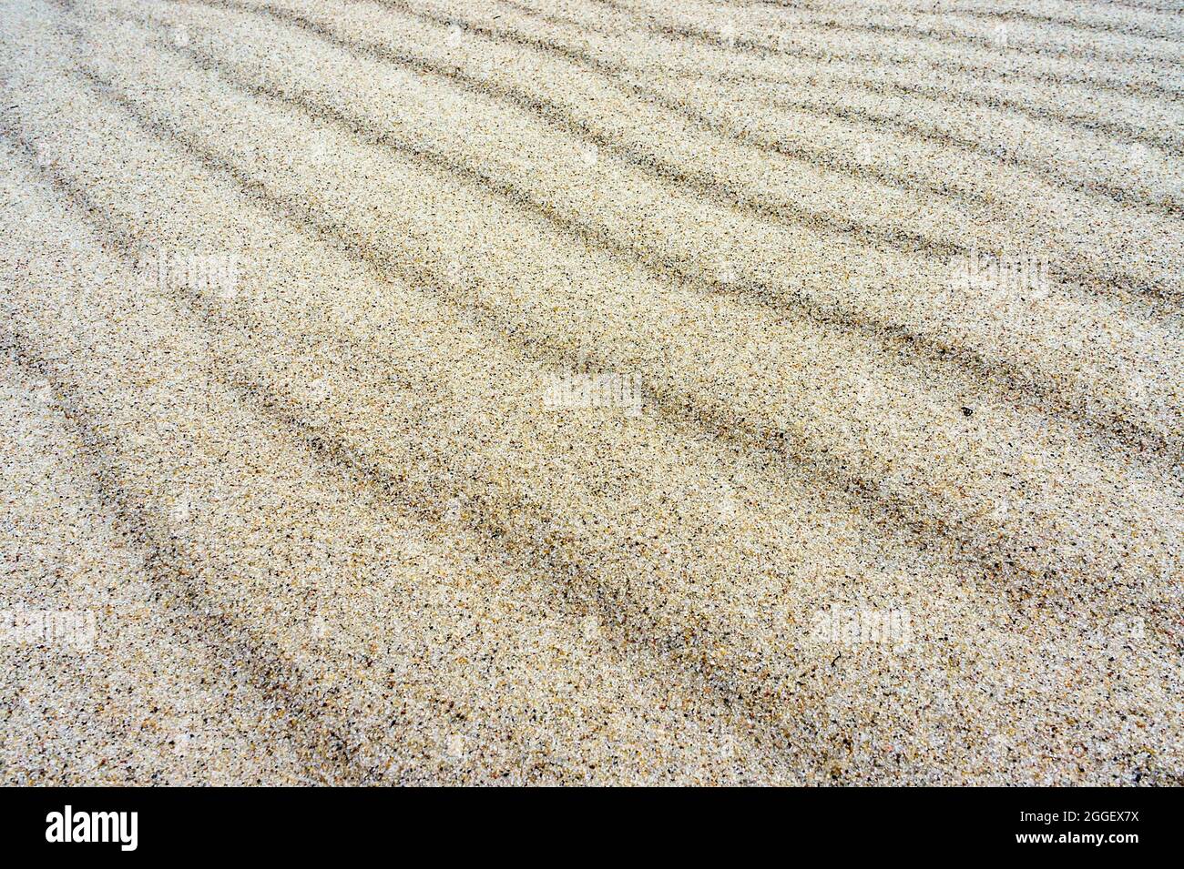 Sea sand. Natural sea sand and river sand. Sandy background. Sandy ...