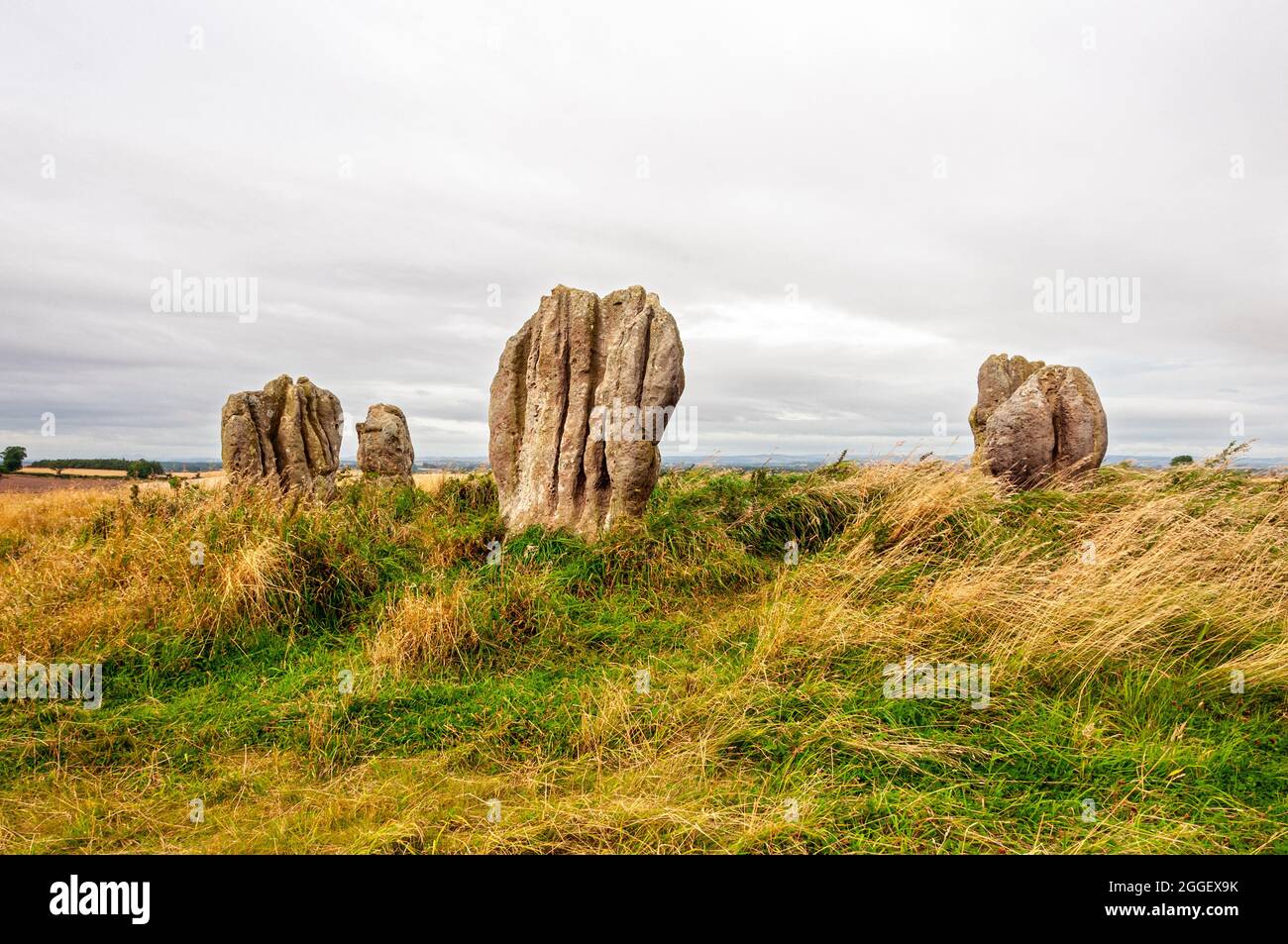 The standing stones of the Neolithic/Bronze Age scheduled monument of ...