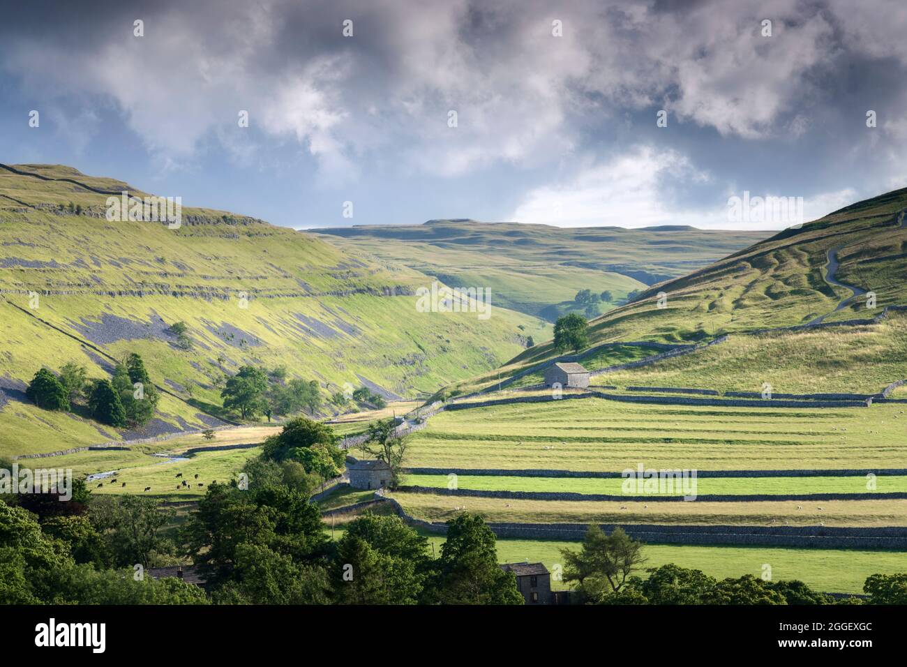 Arncliffe village and surrounding fields and fells in mid-summer, North ...
