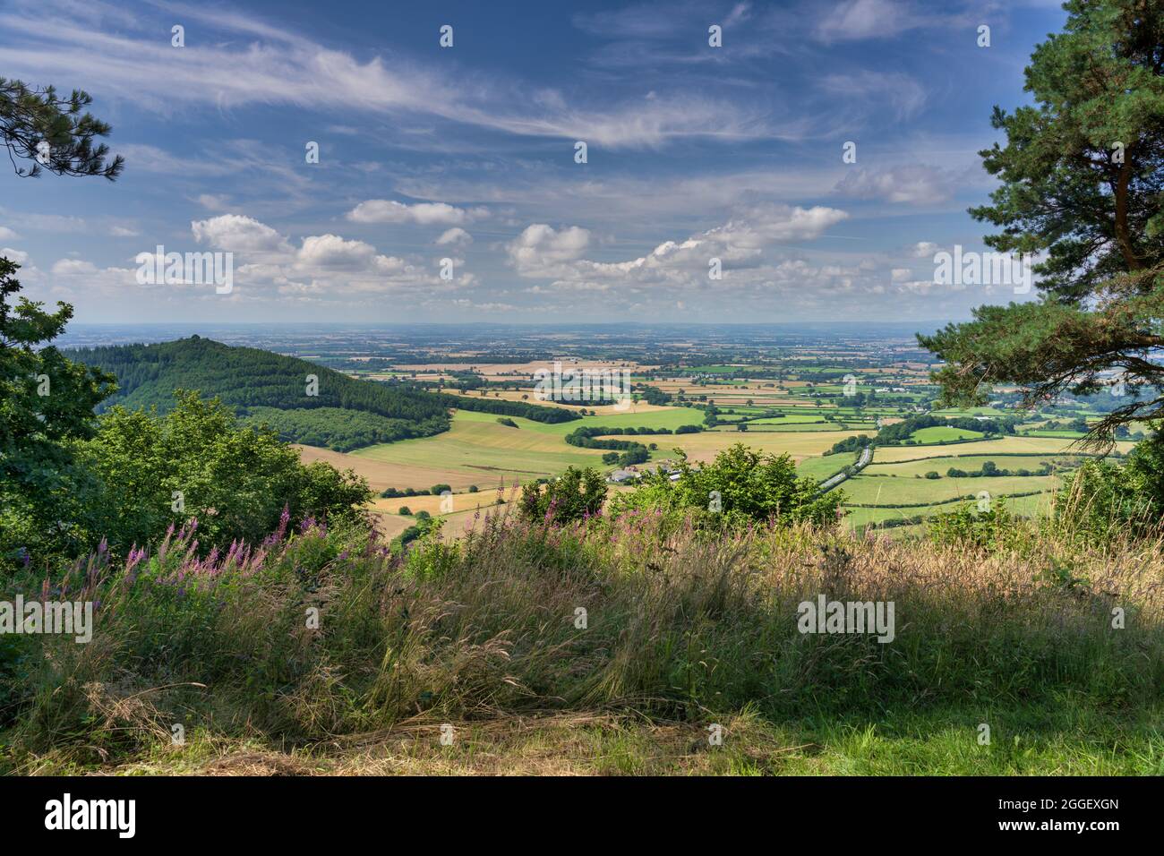 Hood Hill, and the Vale of York from Sutton Bank in mid-summer Stock ...