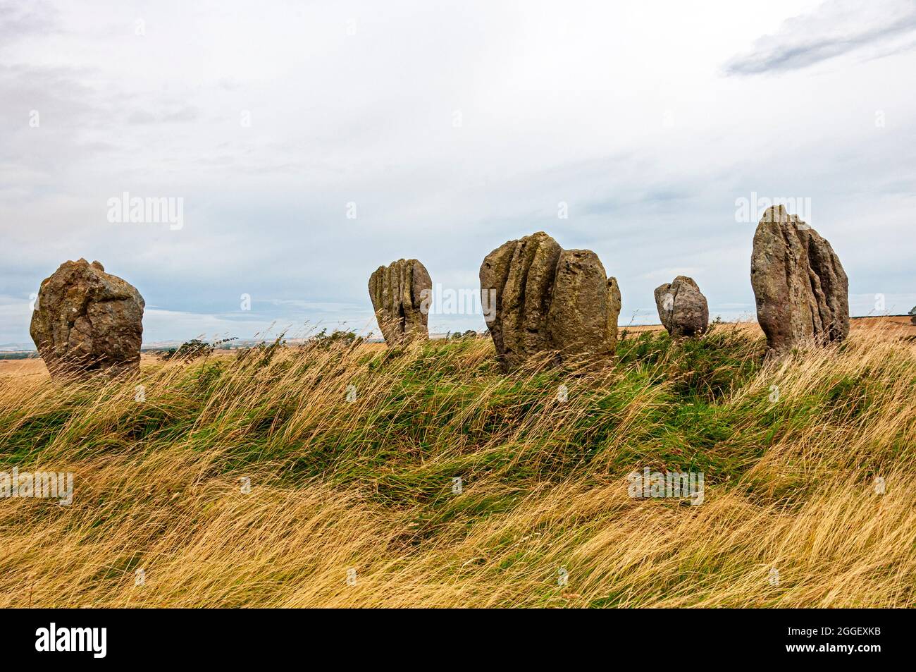 The standing stones of the Neolithic/Bronze Age scheduled monument of ...