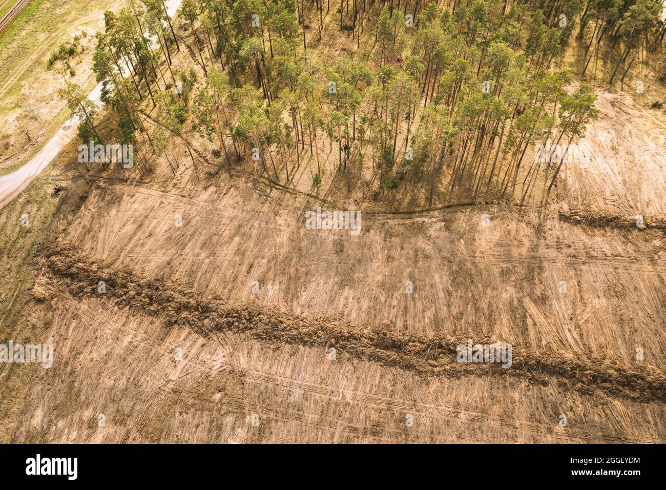 Aerial View Of Deforestation For Territory Of Future Field Stock Photo ...