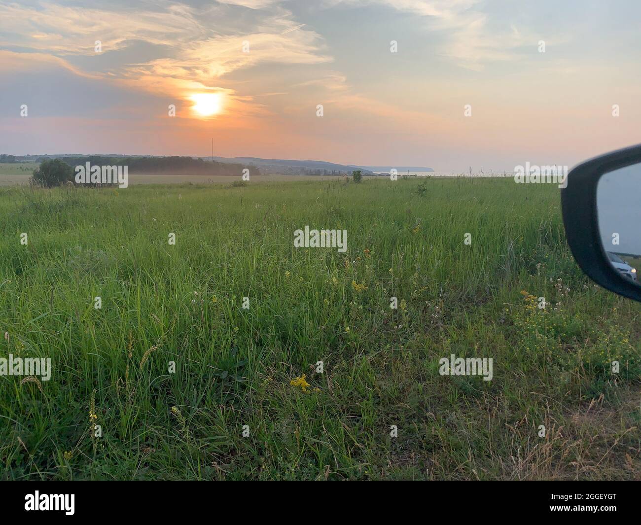 Spring meadow with flowers on sunset Stock Photo - Alamy