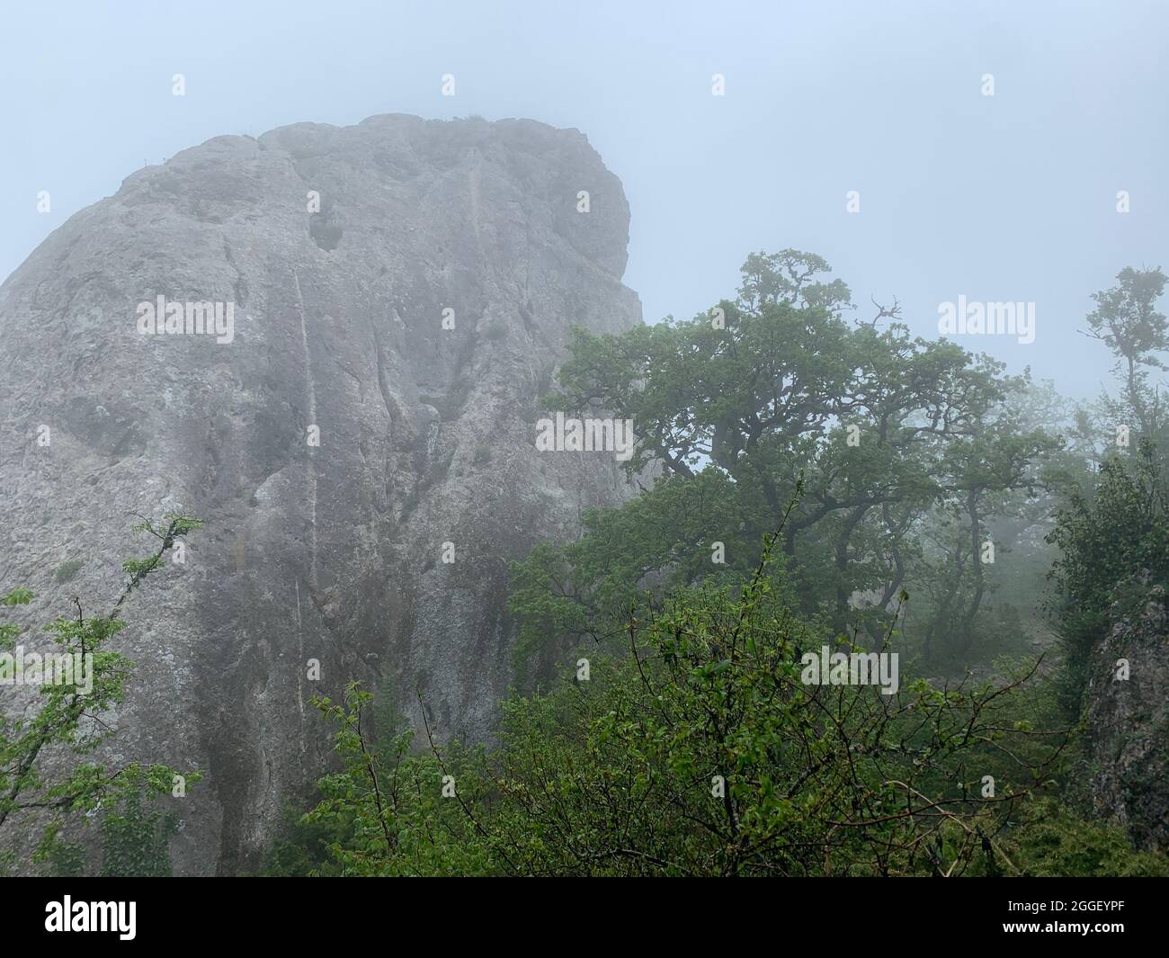 Mystic rocks and cliffs in thick fog Stock Photo - Alamy