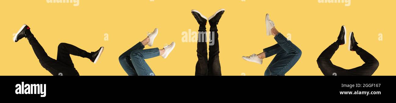 Six short legs hi-res stock photography and images - Alamy