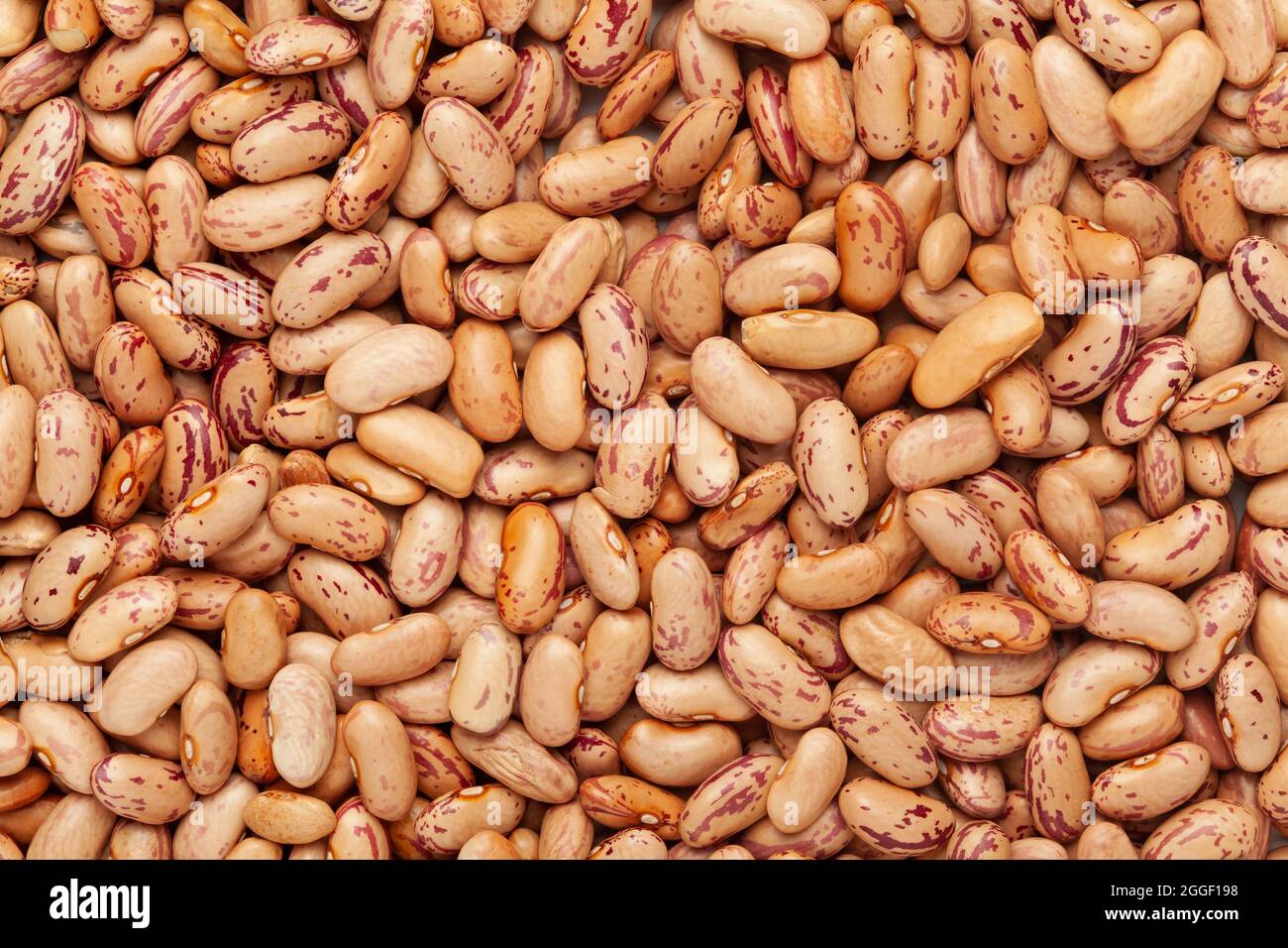 Lobia hi-res stock photography and images - Alamy
