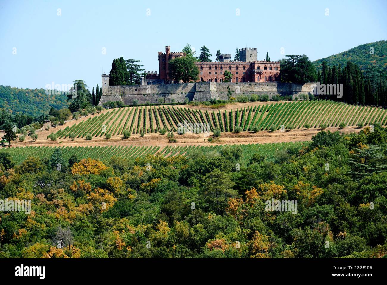 Gaiole (Siena), Italy, view of the Chianti vineyards with the Brolio ...