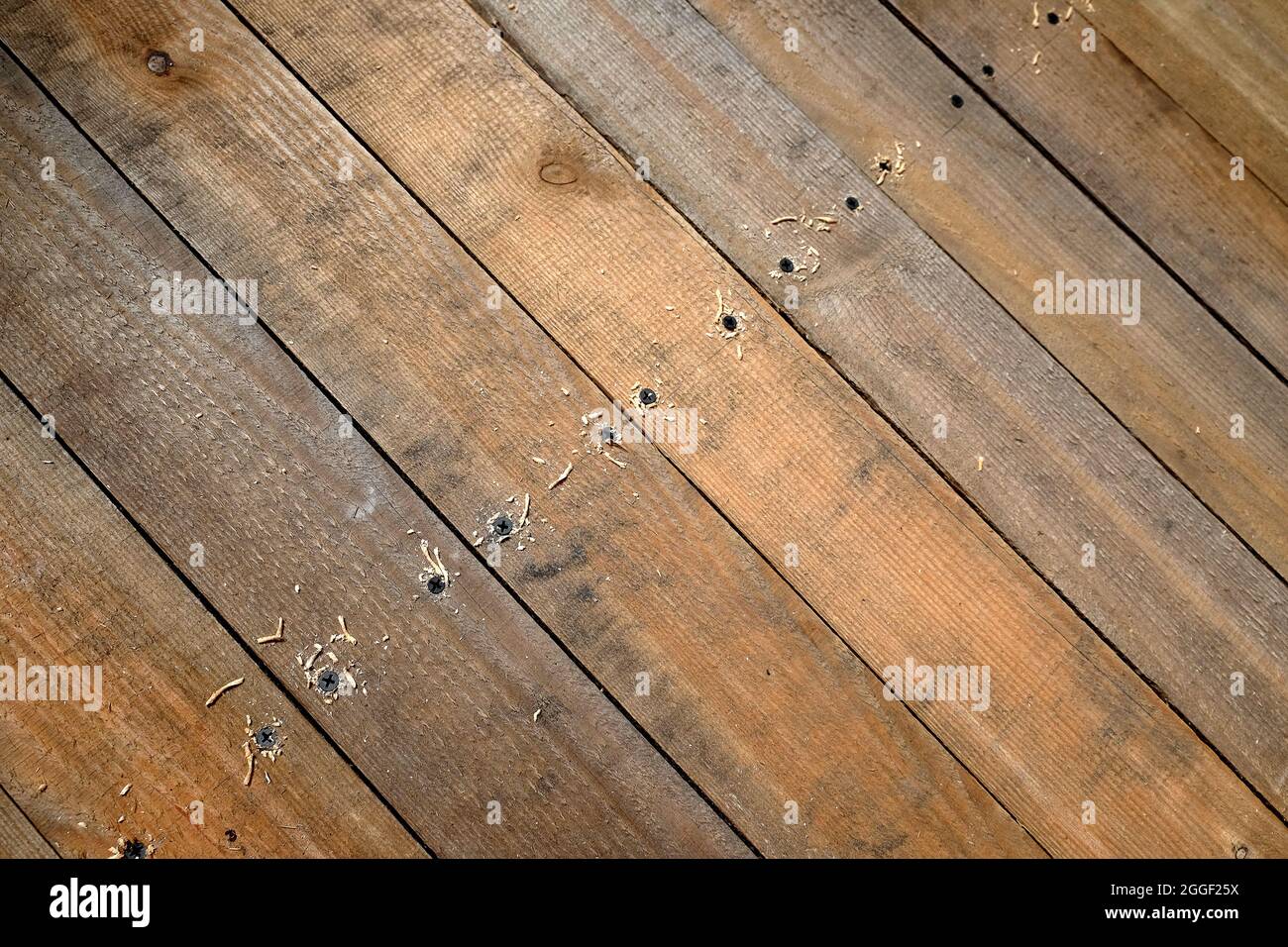 Repair of wooden floor. Lot of fixed screws in the boadrs top view ...