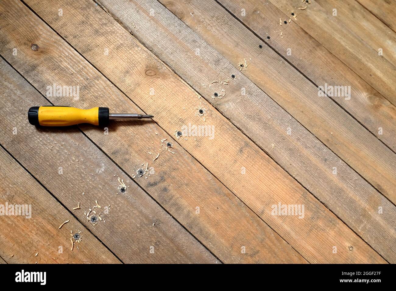 Repair of wooden floor. Screwdriver and rows of many fixed screws top ...