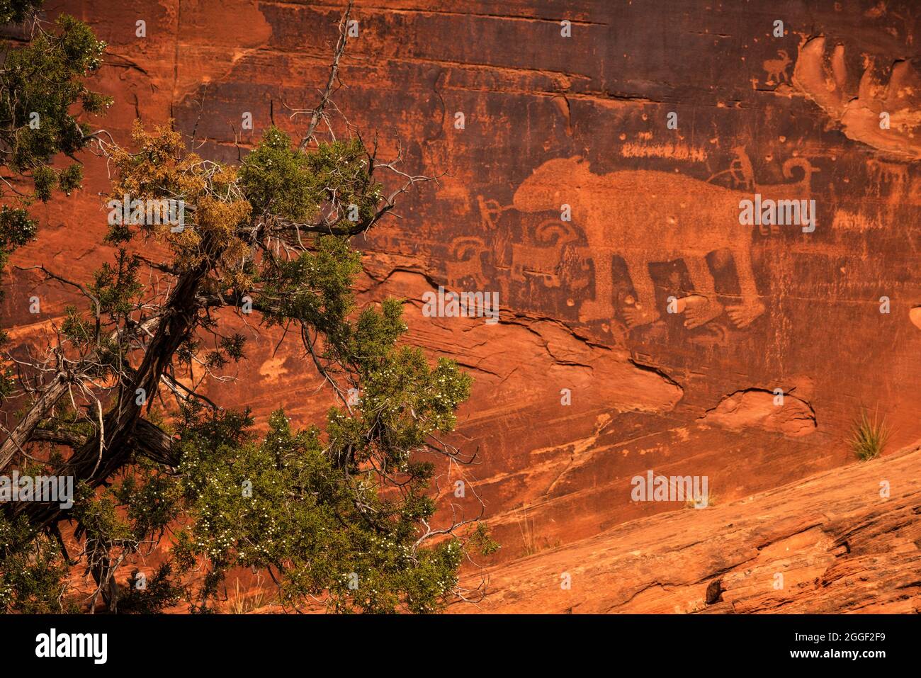 Ancient petroglyphs near Moab, Utah Stock Photo - Alamy