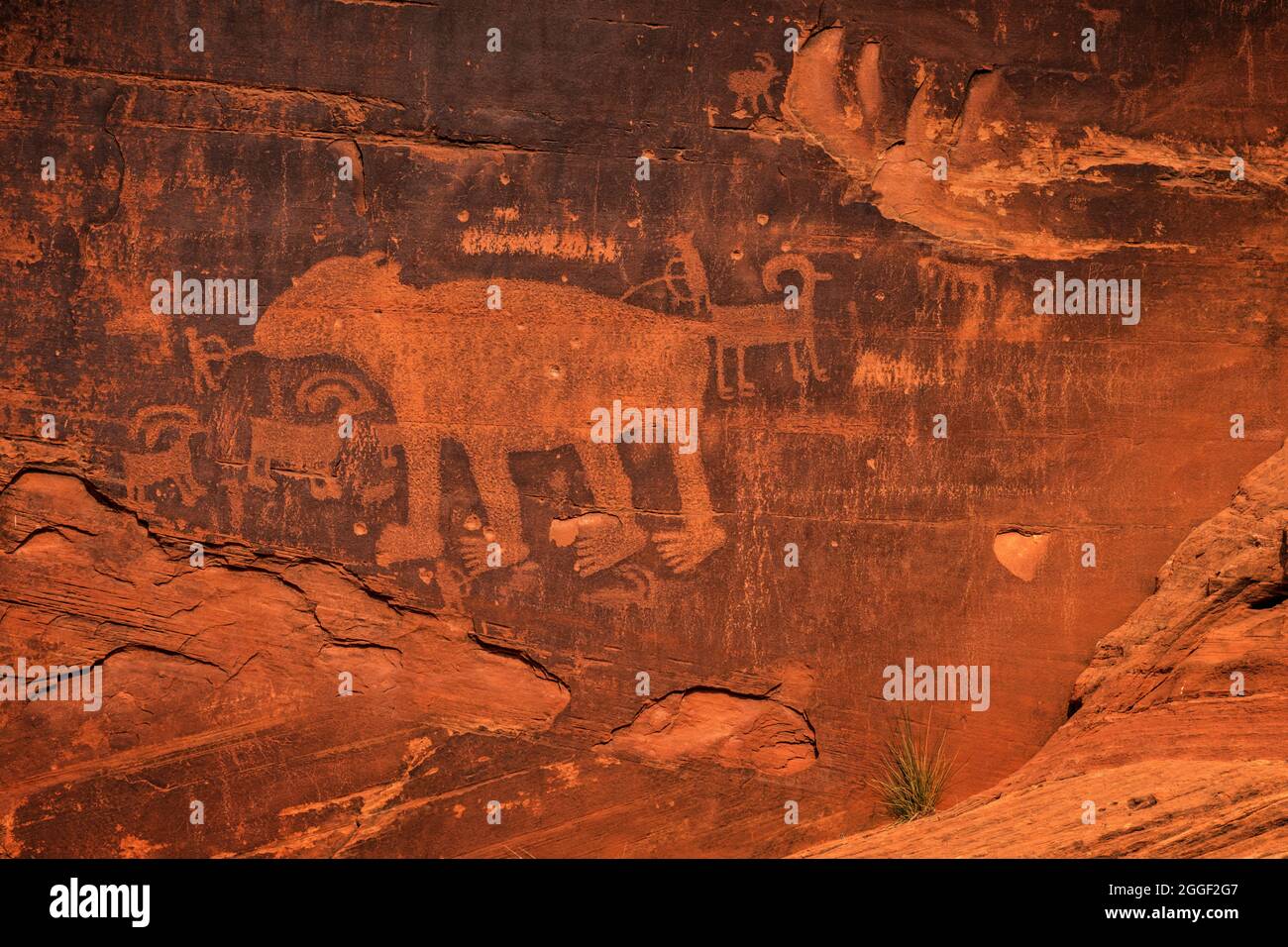 Ancient petroglyphs near Moab, Utah Stock Photo - Alamy