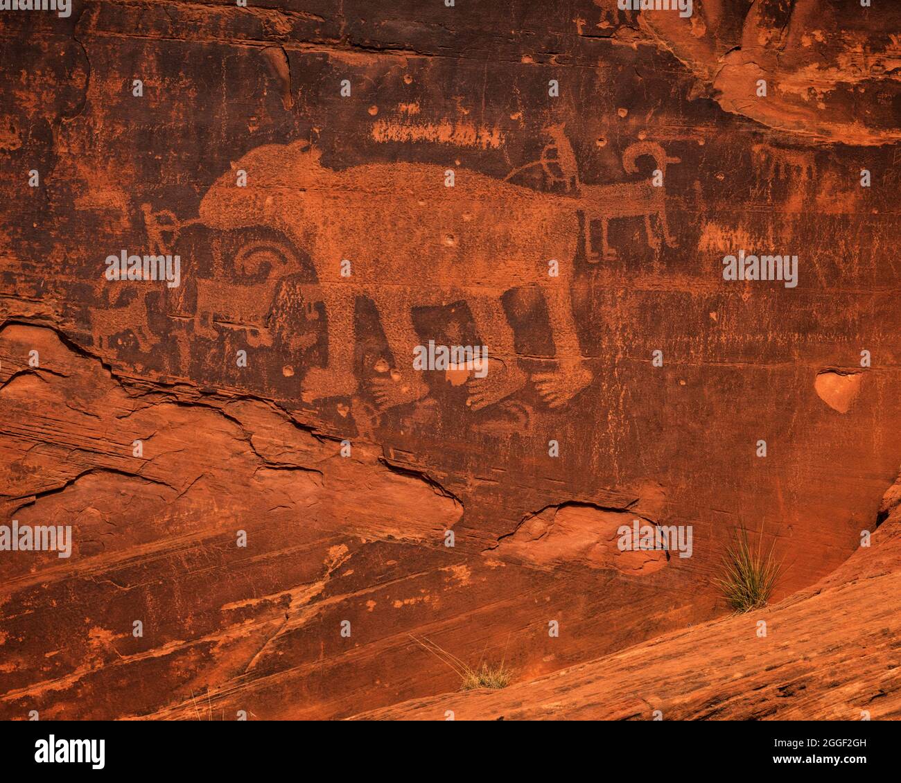 Ancient petroglyphs near Moab, Utah Stock Photo - Alamy