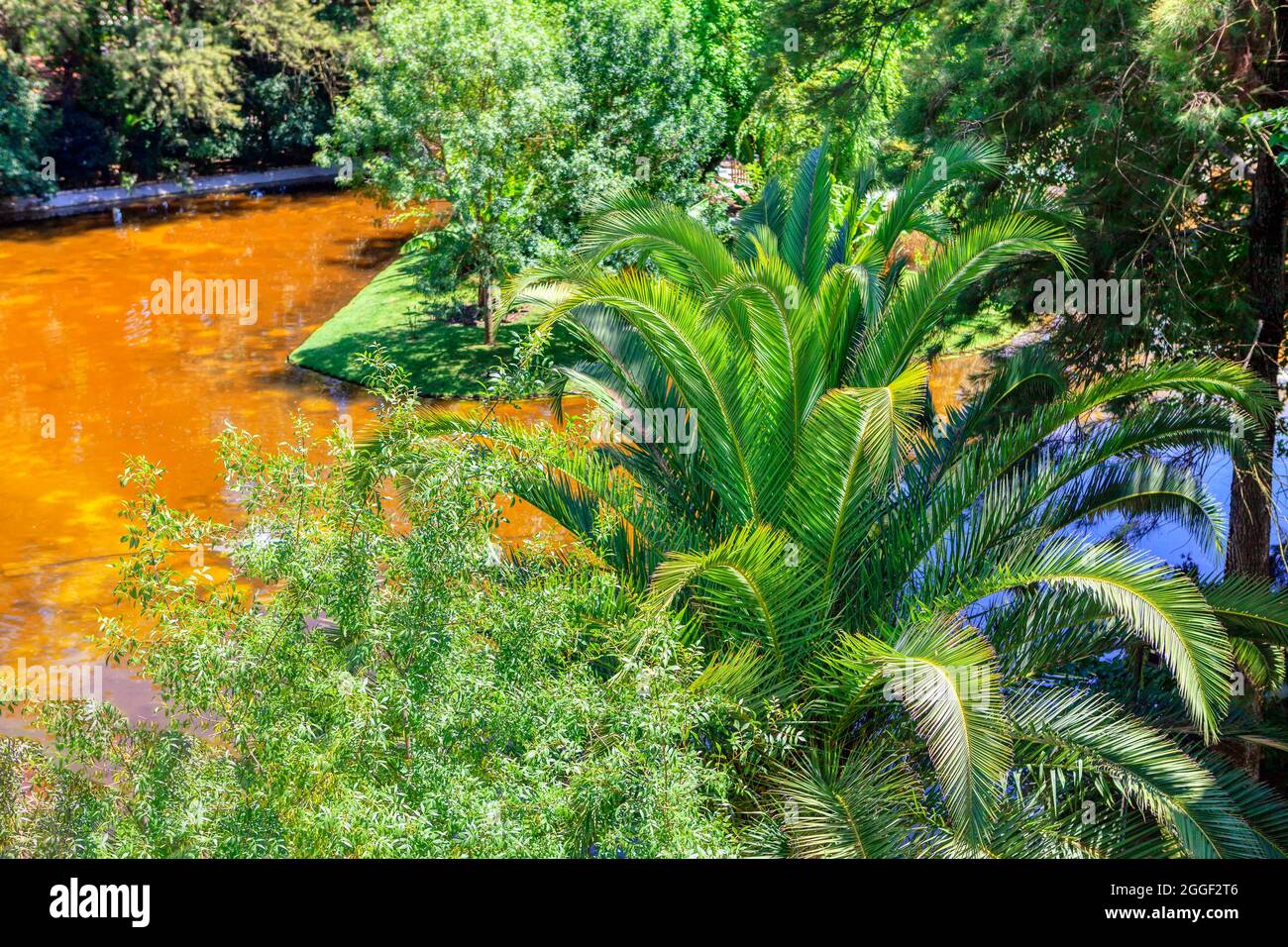Pond in tropical park . Green branches of tropical trees . Lush foliage ...