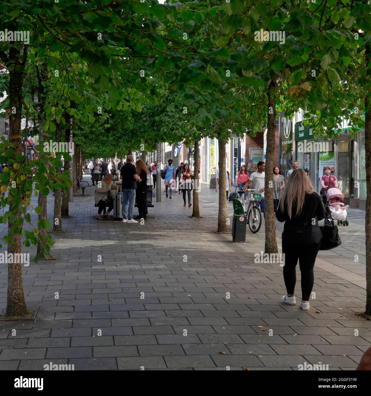 City greening street trees hi-res stock photography and images - Alamy