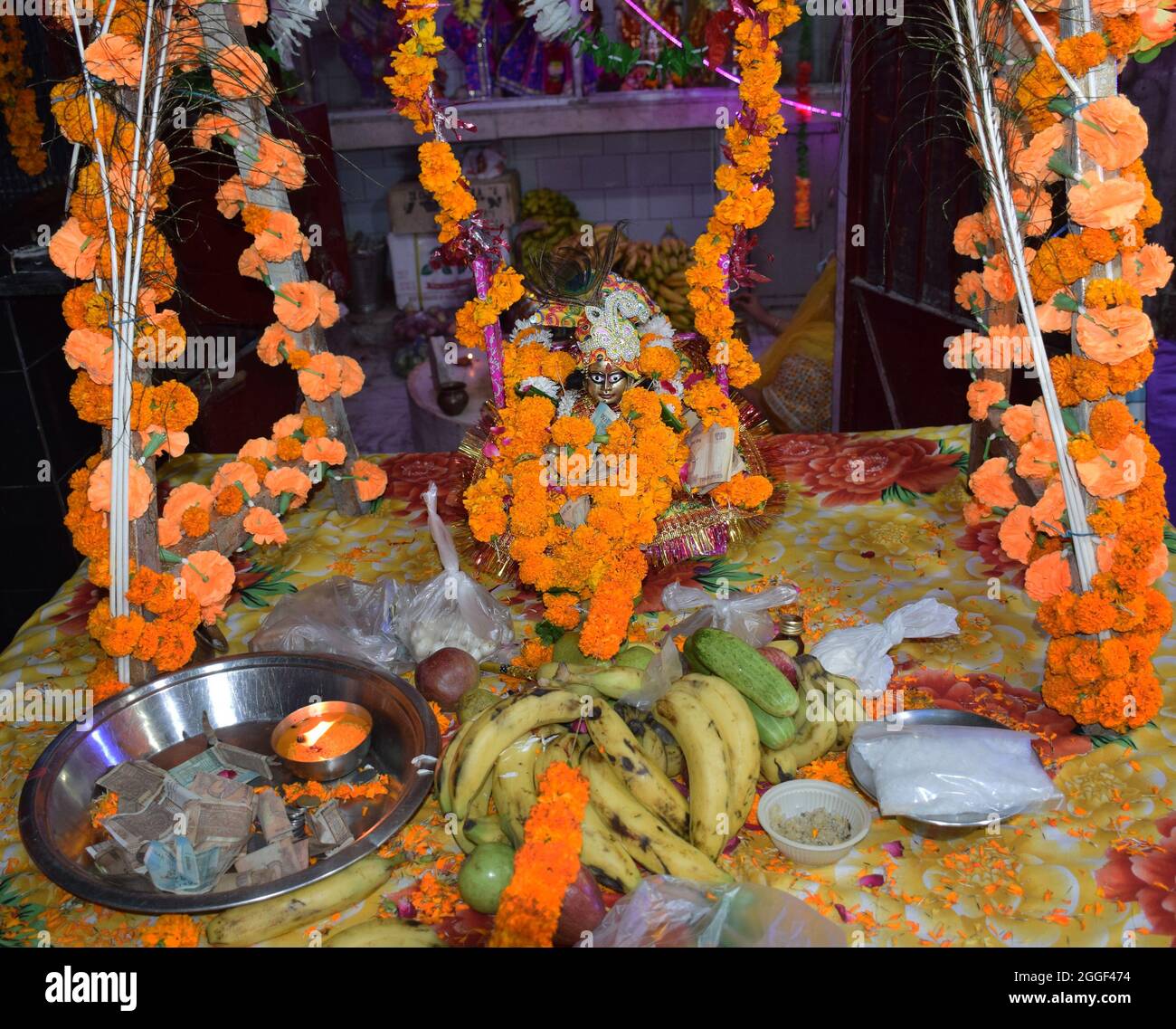 Lord Krishna idol or statue during Janmastami festival celebration to ...